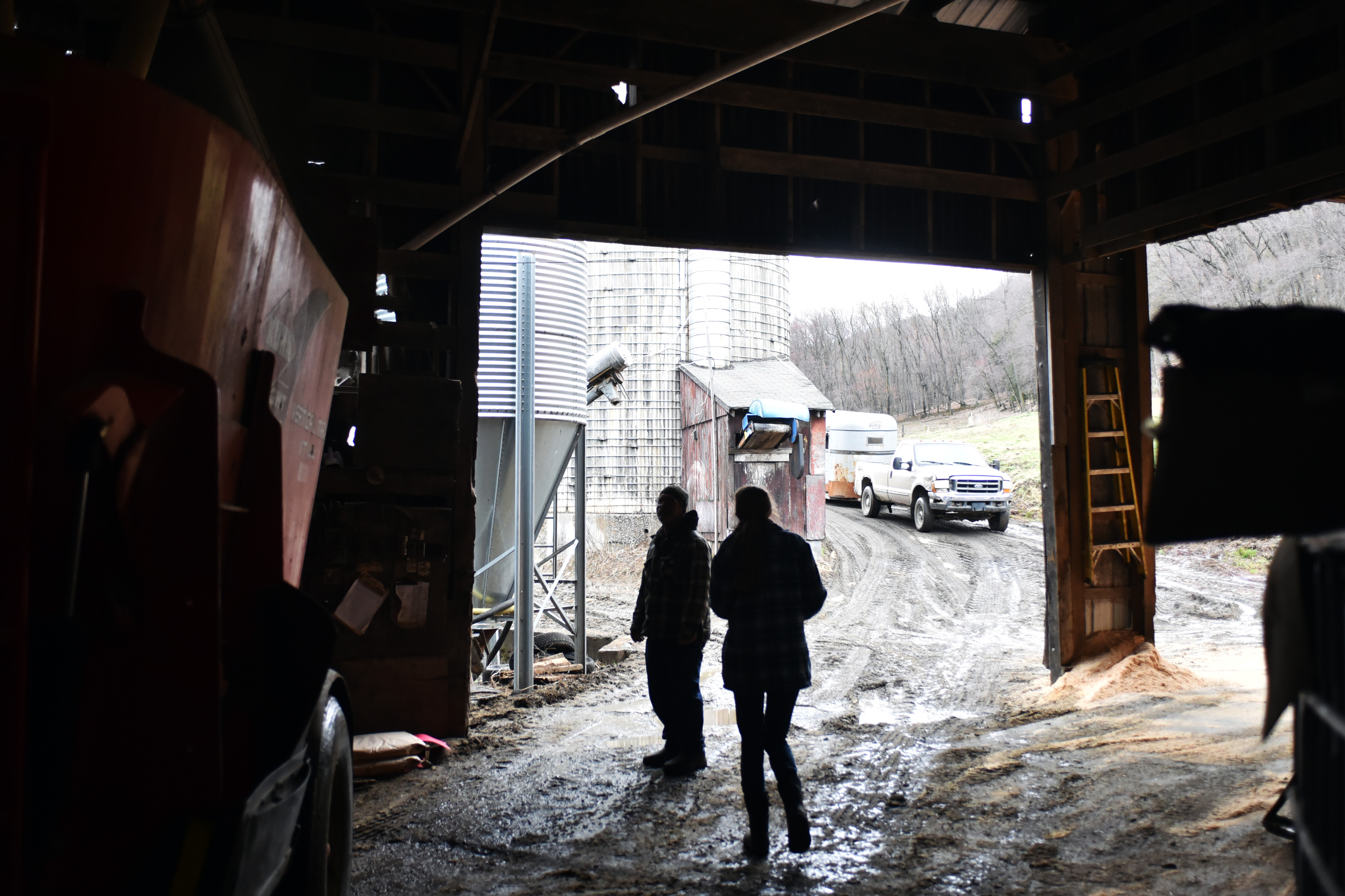 Area dairy farmers cope with markets during Covid-19 pandemic ...