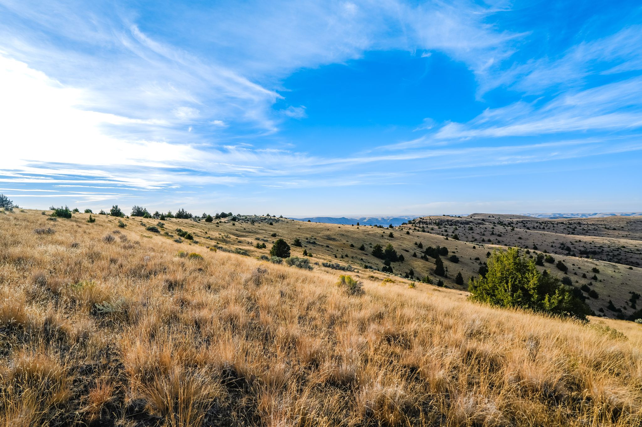 Steiwer Ranch in Fossil - oregonlive.com