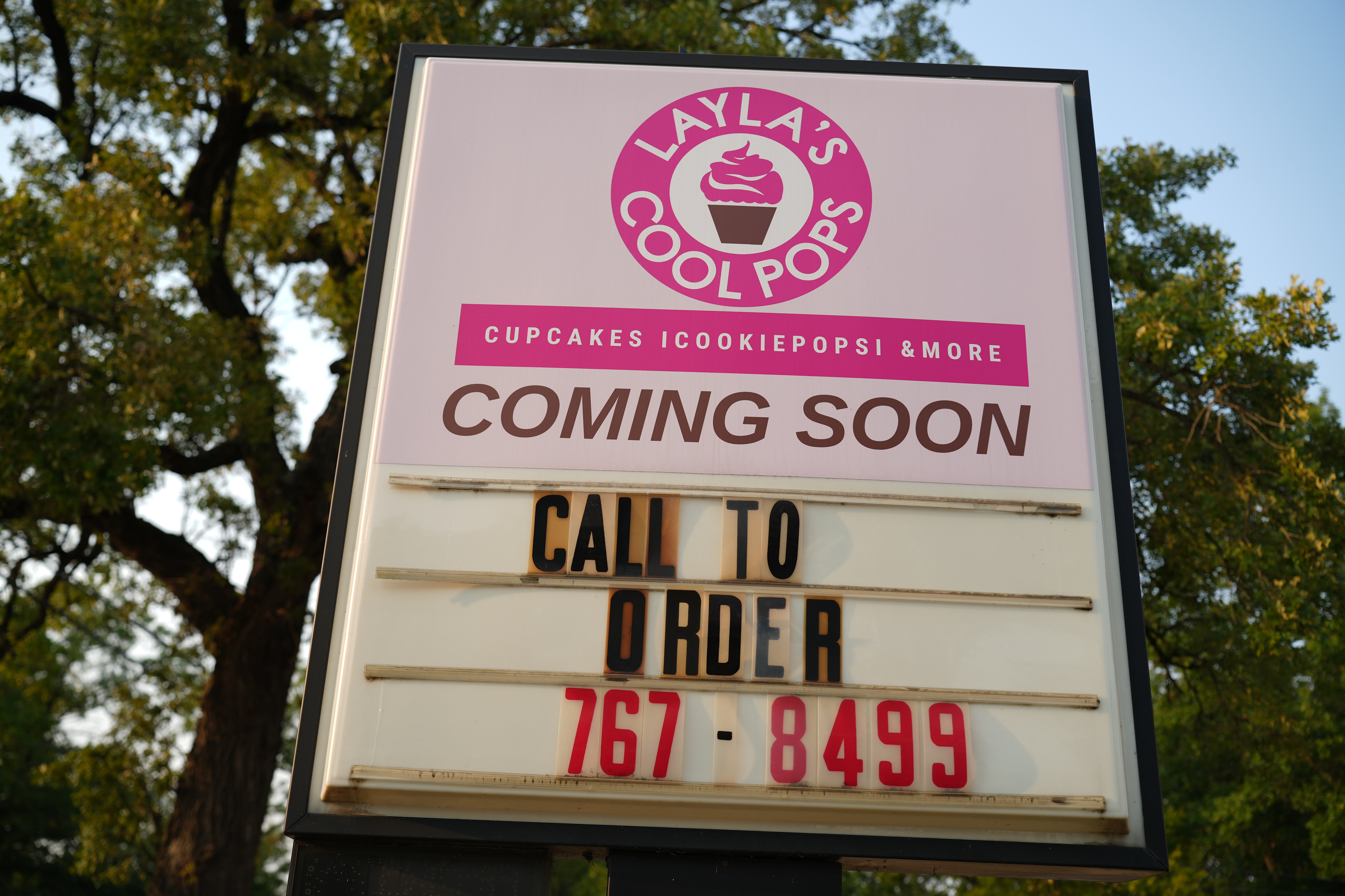 Michigan's Best Local Eats: Layla's Cool Pops - mlive.com