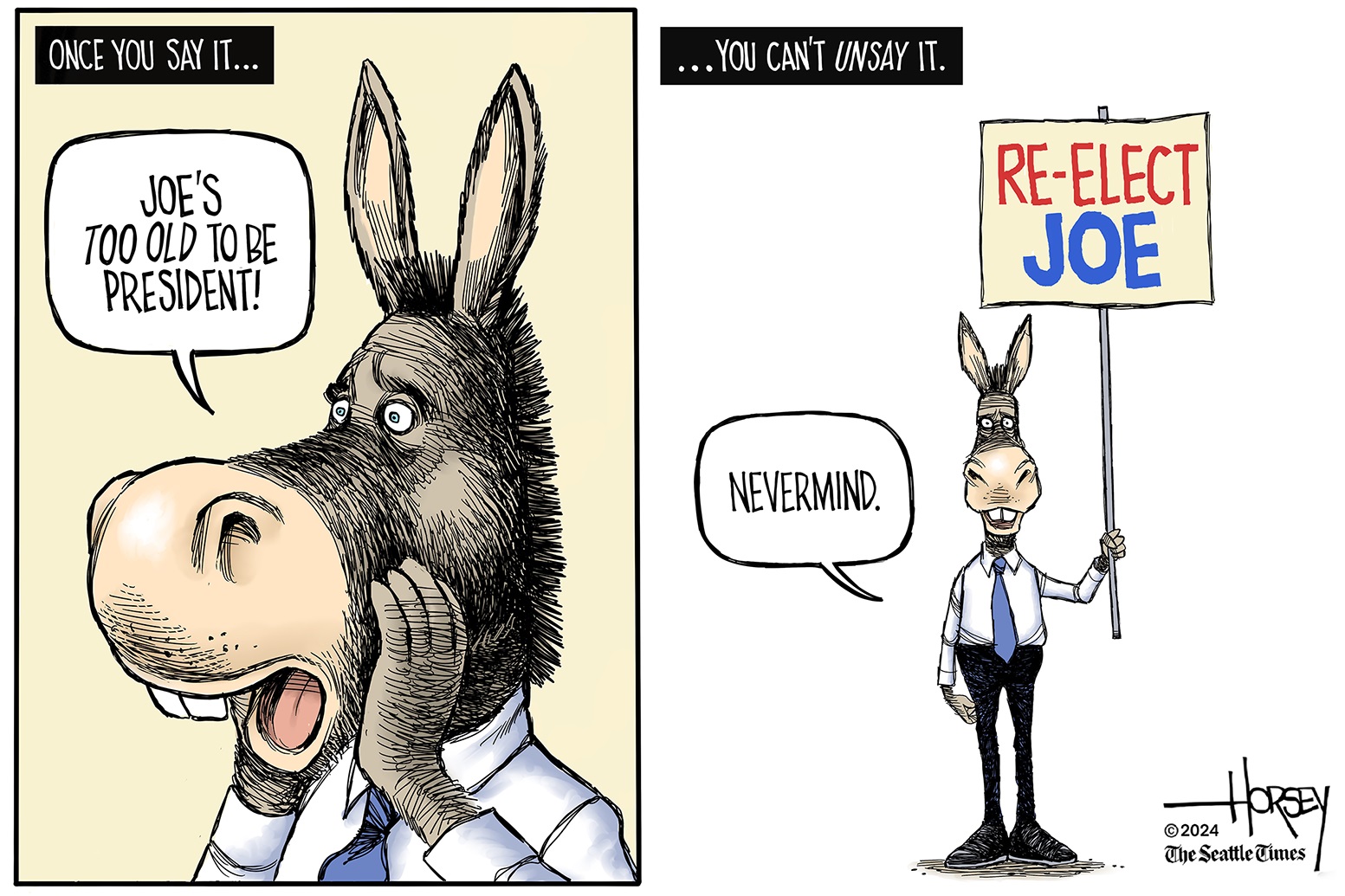 Editorial cartoons for July 17, 2024 - cleveland.com
