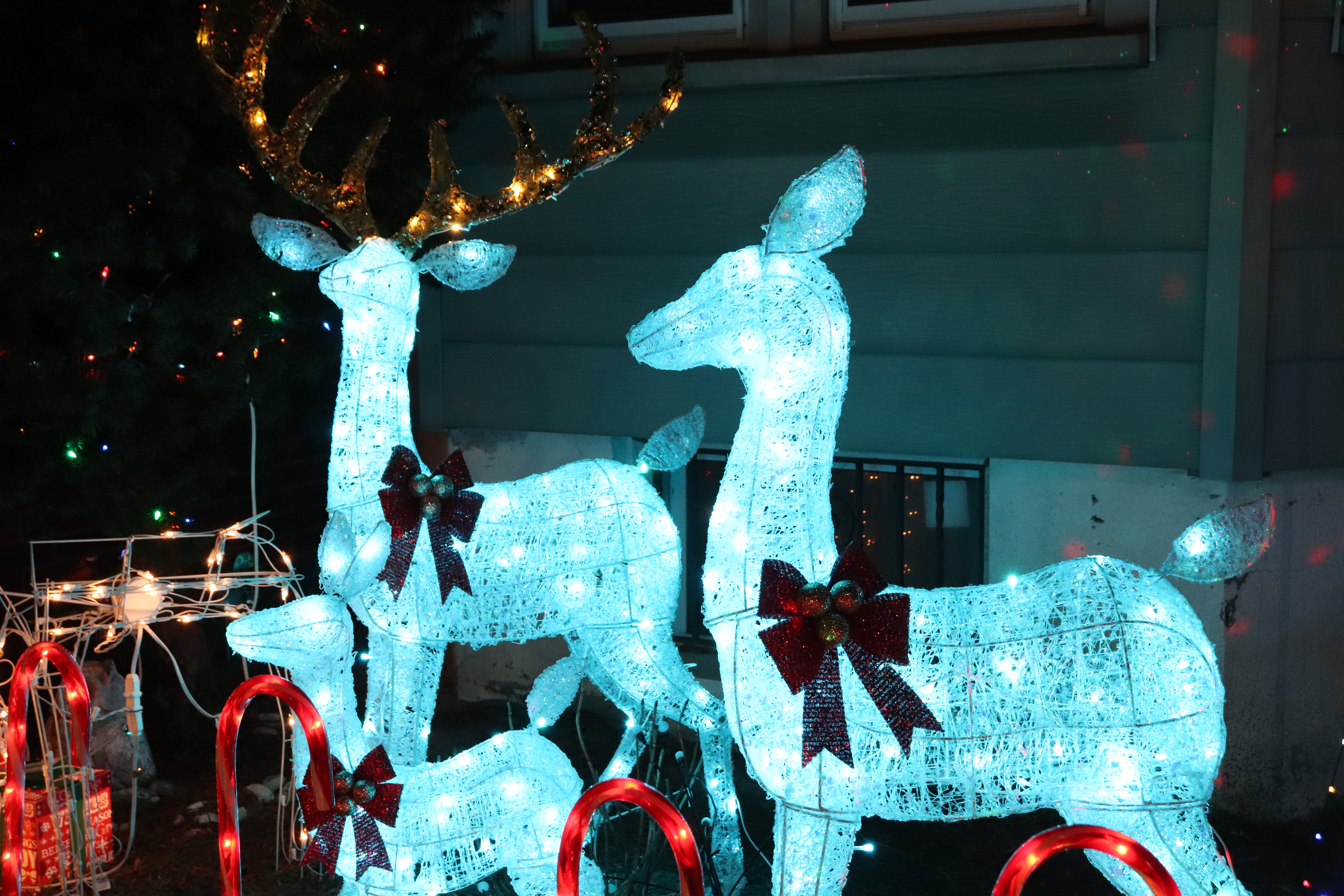 Somerville Illuminations holiday light displays - masslive.com
