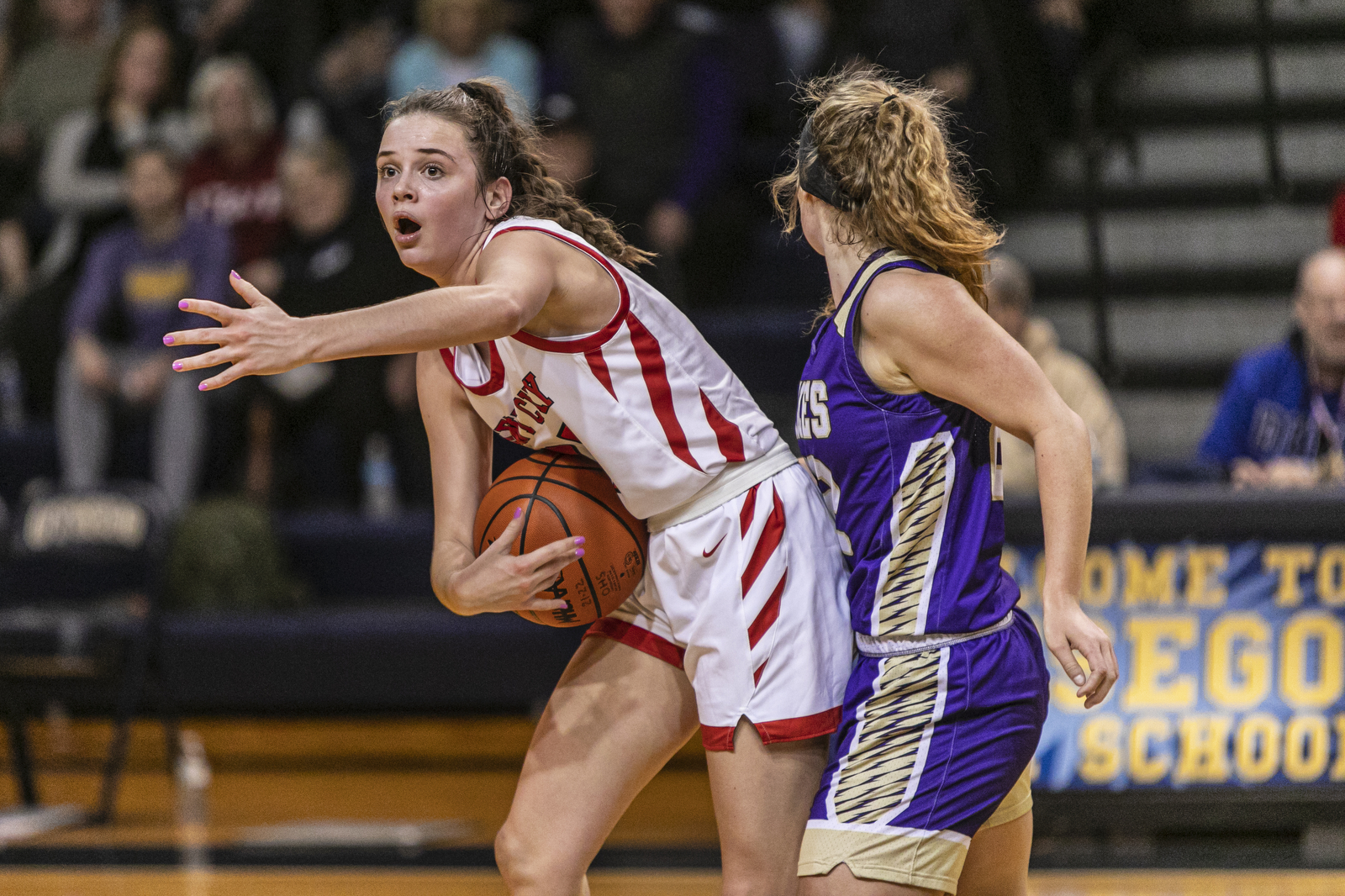 Kent City defeats Schoolcraft in the girls basketball division 3 state ...