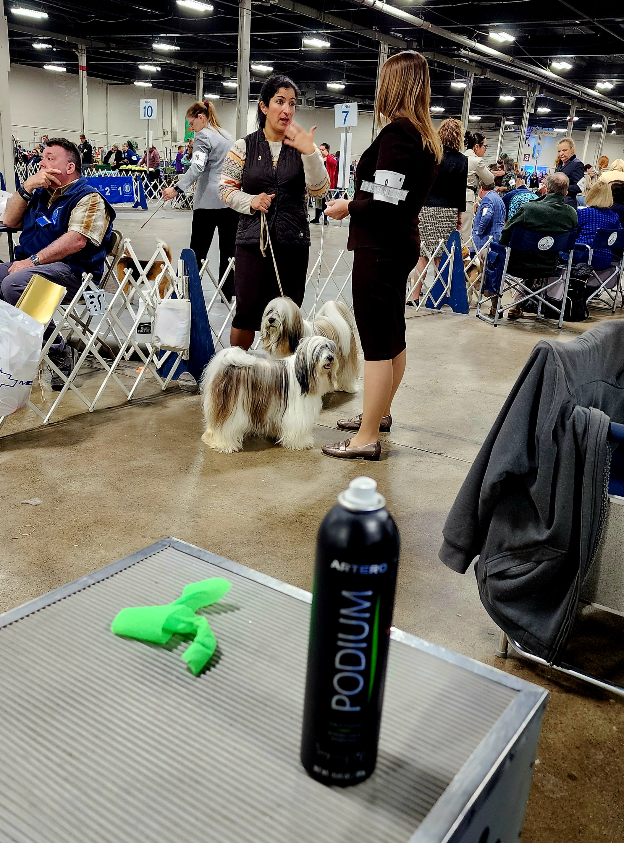 Thanksgiving Classic Cluster Dog Shows a howling success on grounds of ...