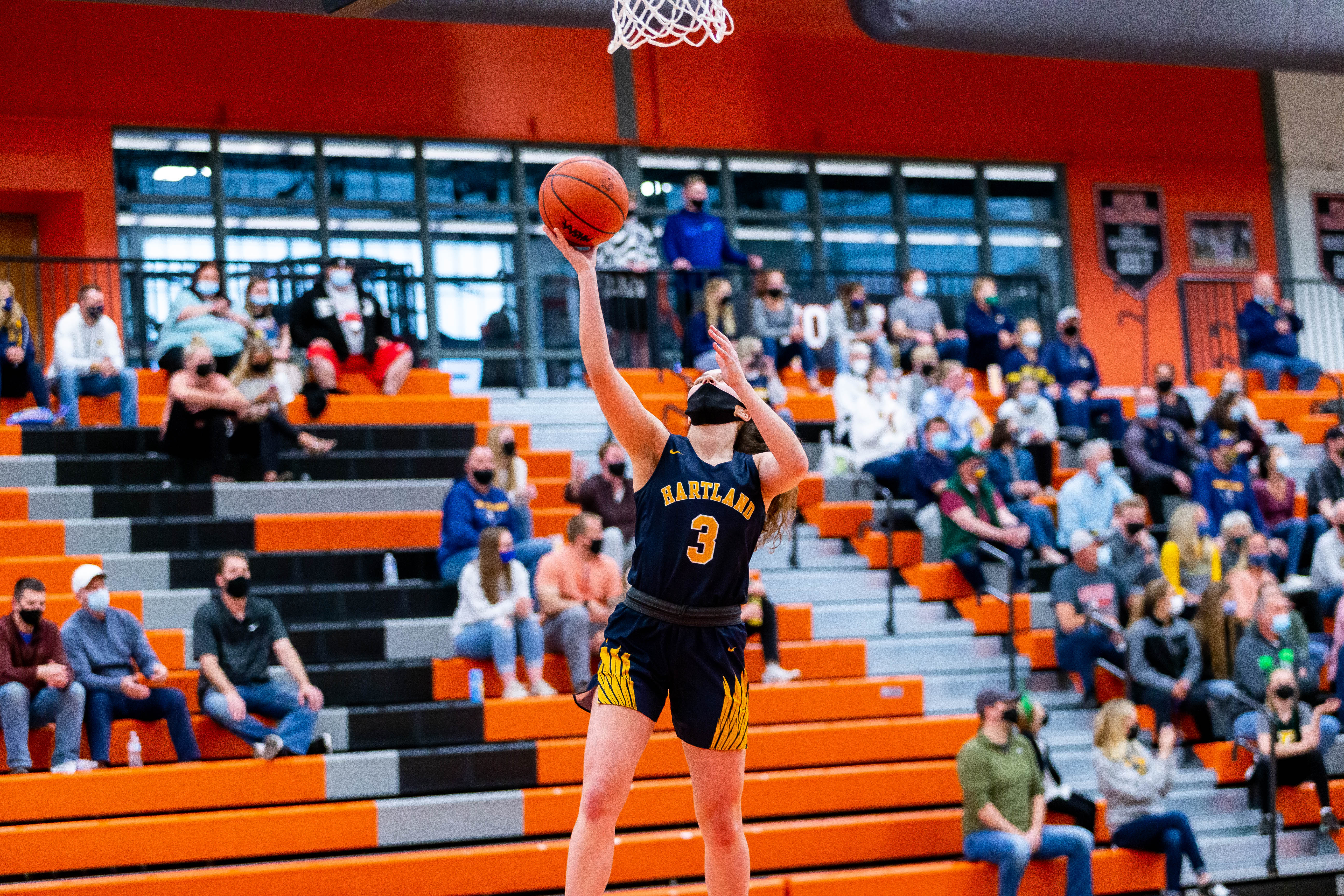 HH Dow defeats Hartland in division 1 quarterfinal. - mlive.com