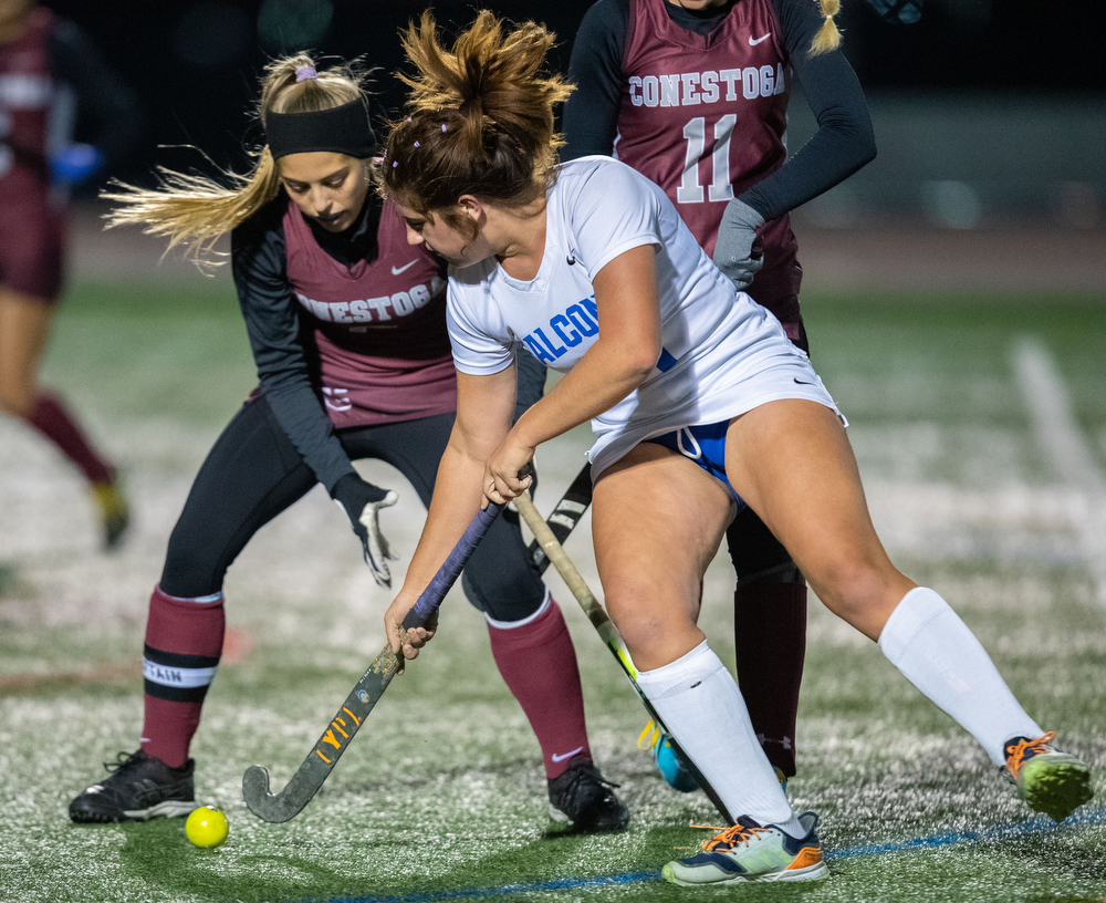 Lower Dauphin heads back to Field Hockey State Championship final ...