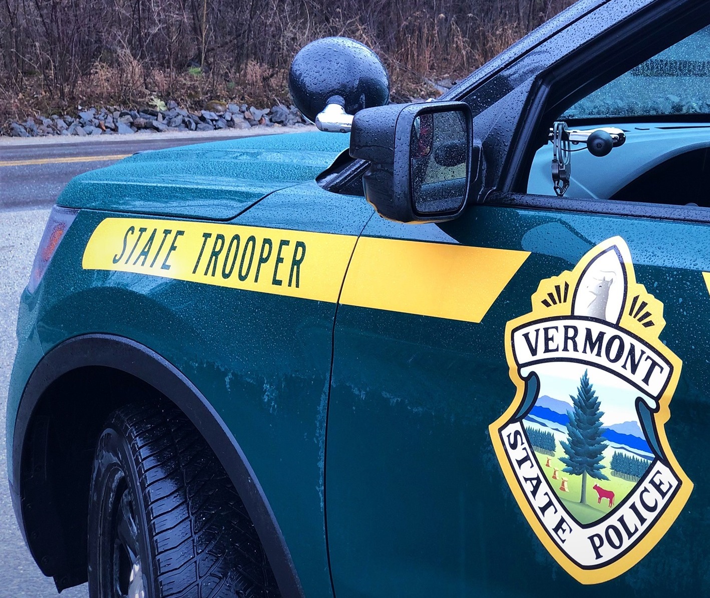 Springfield twins, shot by Vt. police during car stop, face assault ...