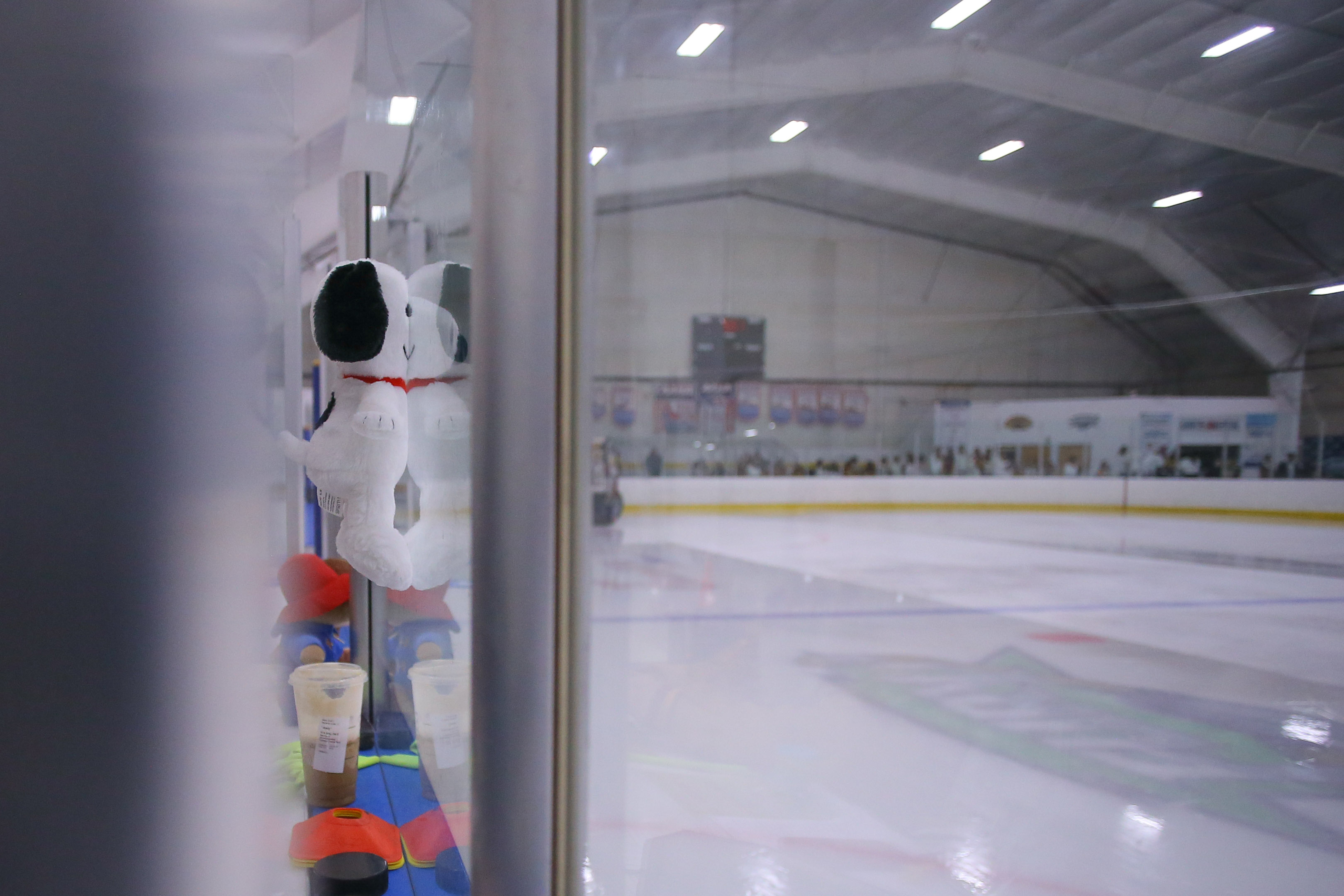 Boys Ice Hockey: Hillsborough has annual teddy bear toss against ...