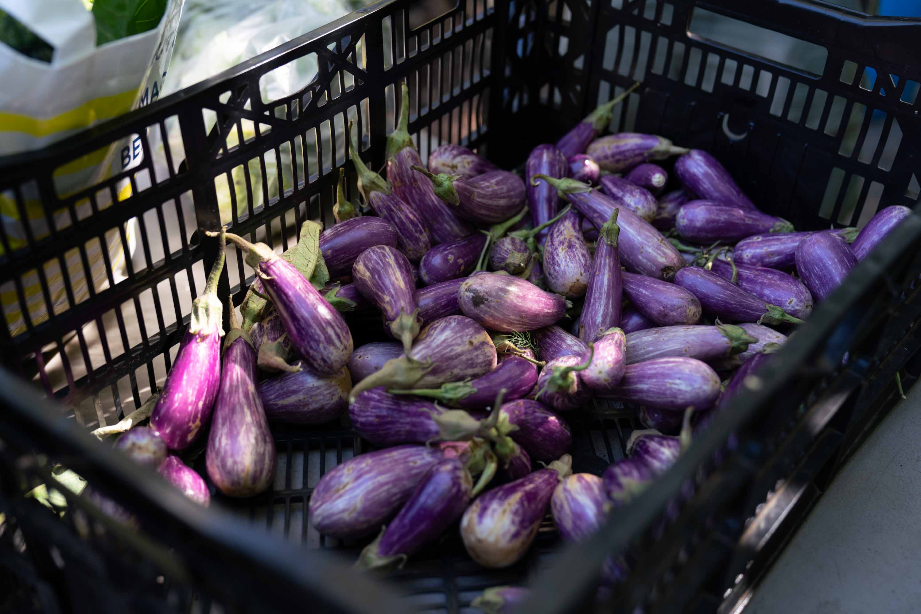 SI Food Justice Ride - silive.com