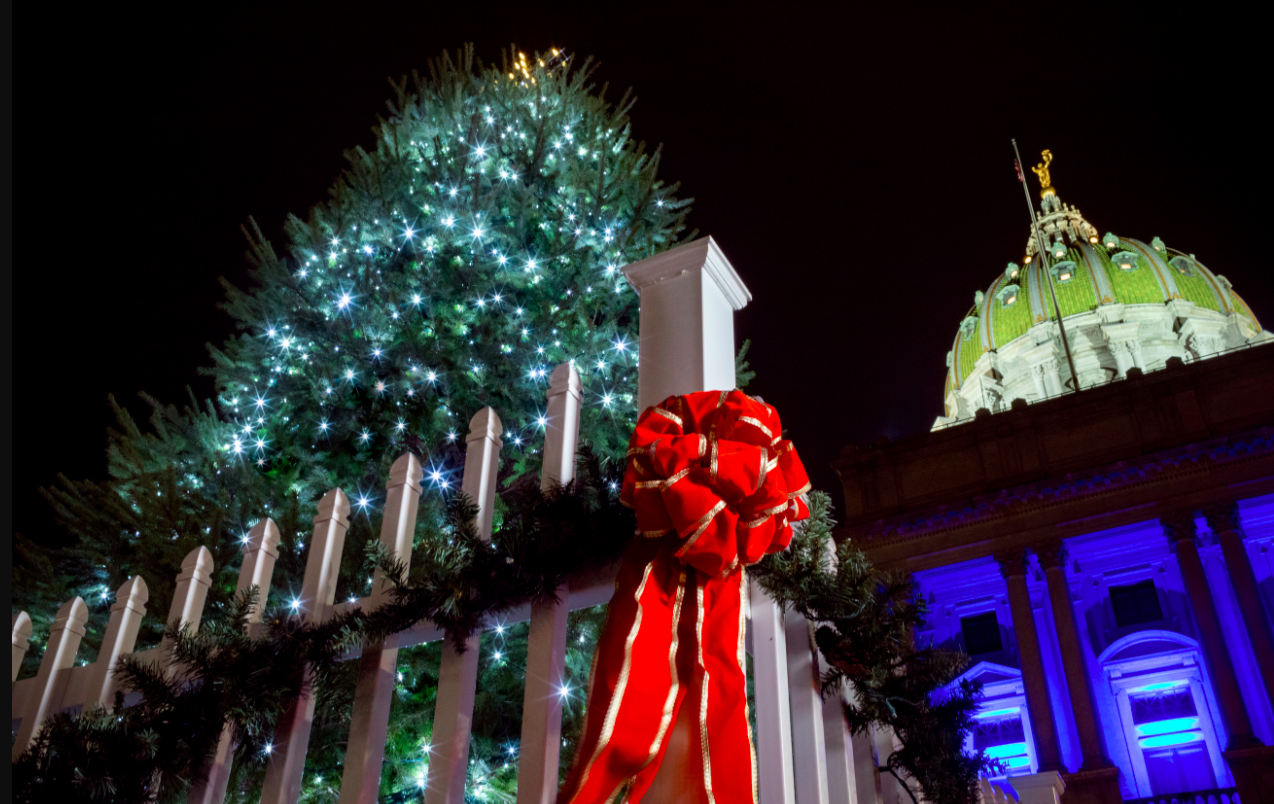 Lighting of 2020 Pa. Capitol Christmas tree - pennlive.com