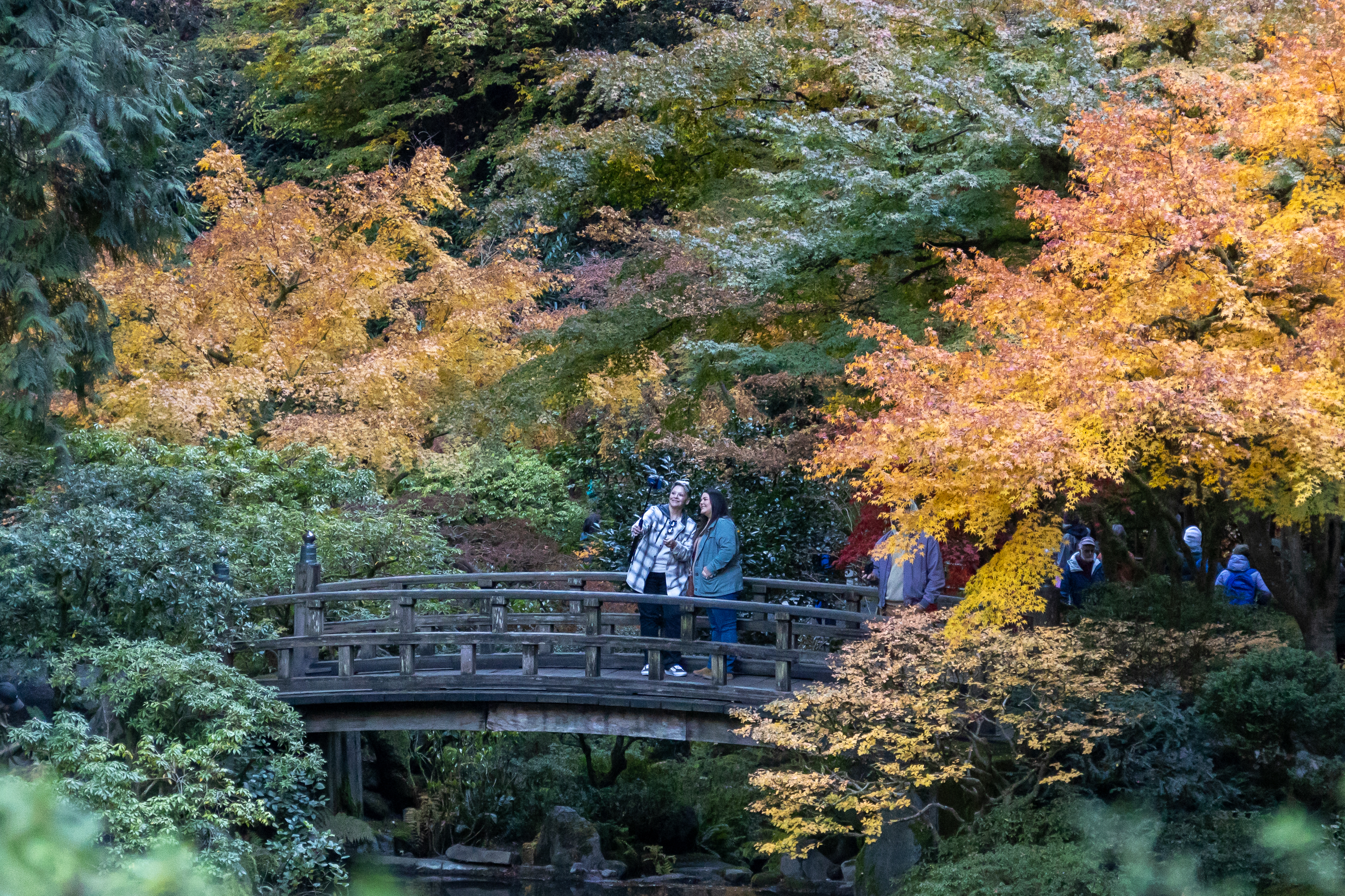 Portland Japanese Garden Fall Portland Japanese Gardens With Bridge