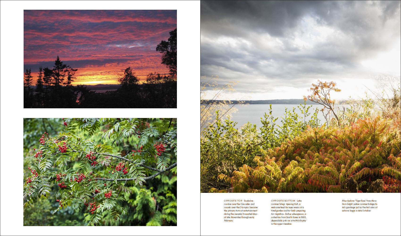 “Windcliff: A Story of People, Plants, and Gardens” - oregonlive.com