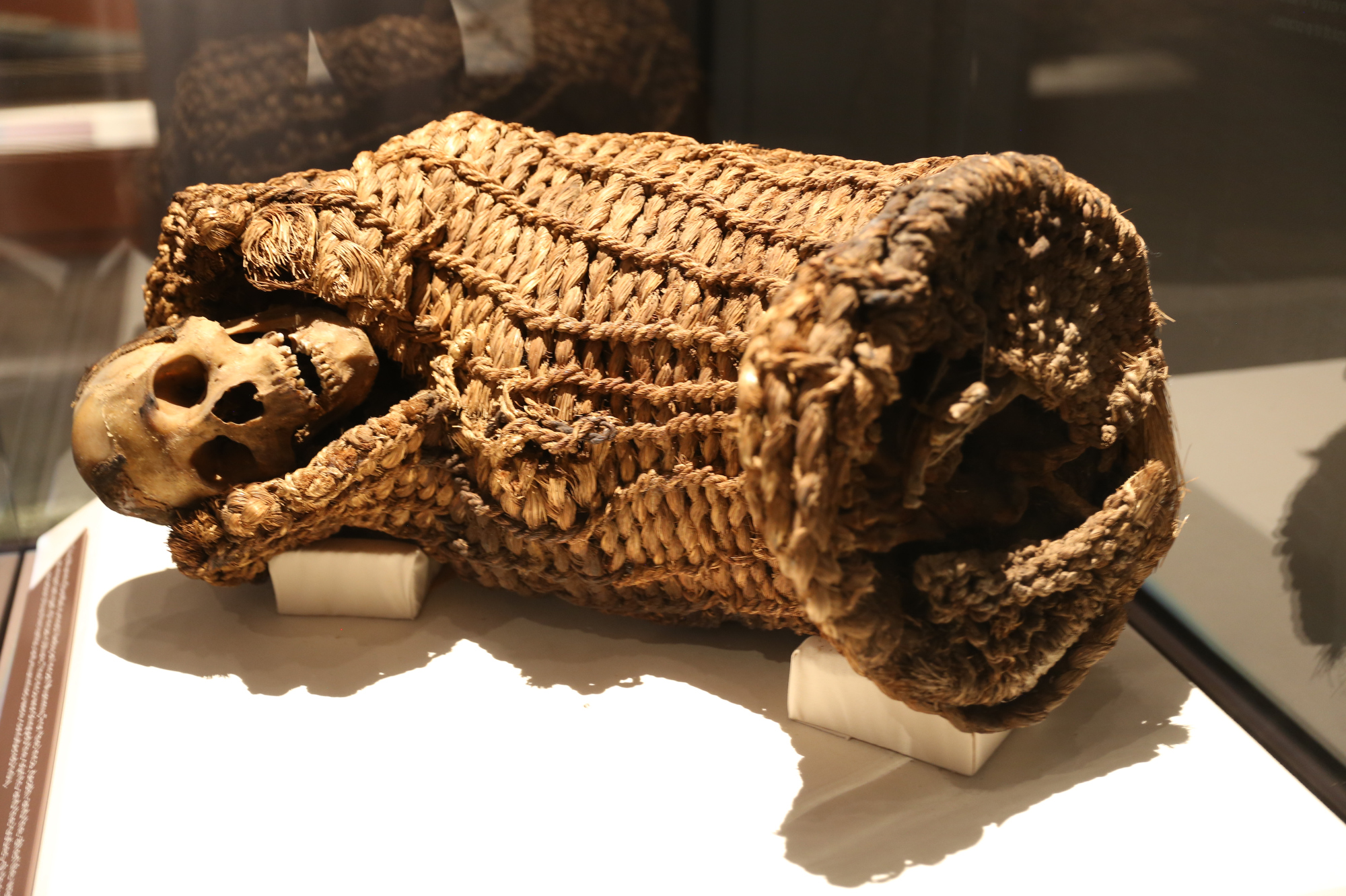 Mummies of the World on display at the Corner Gallery - cleveland.com