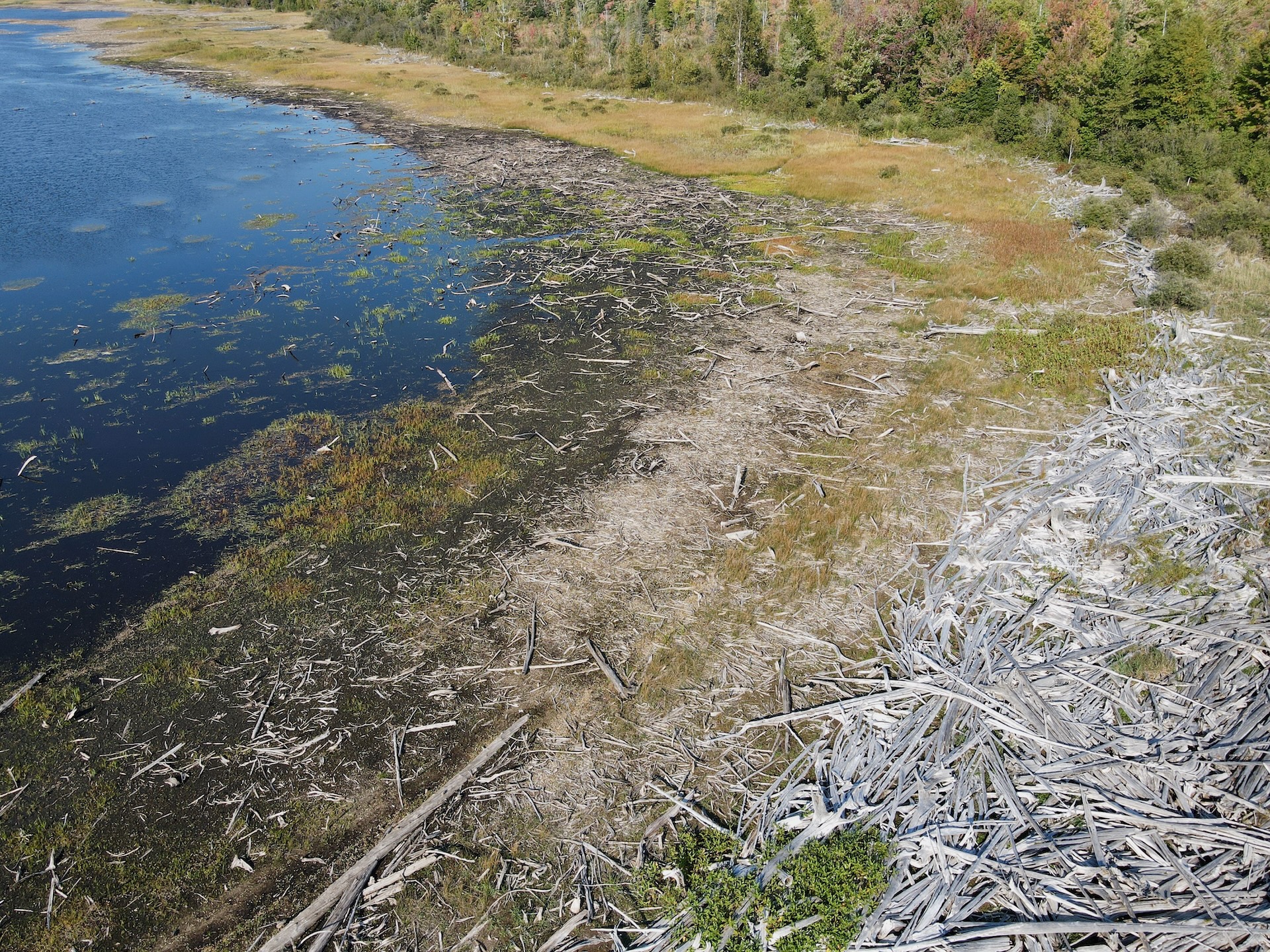 The troubled Au Train Dam - mlive.com