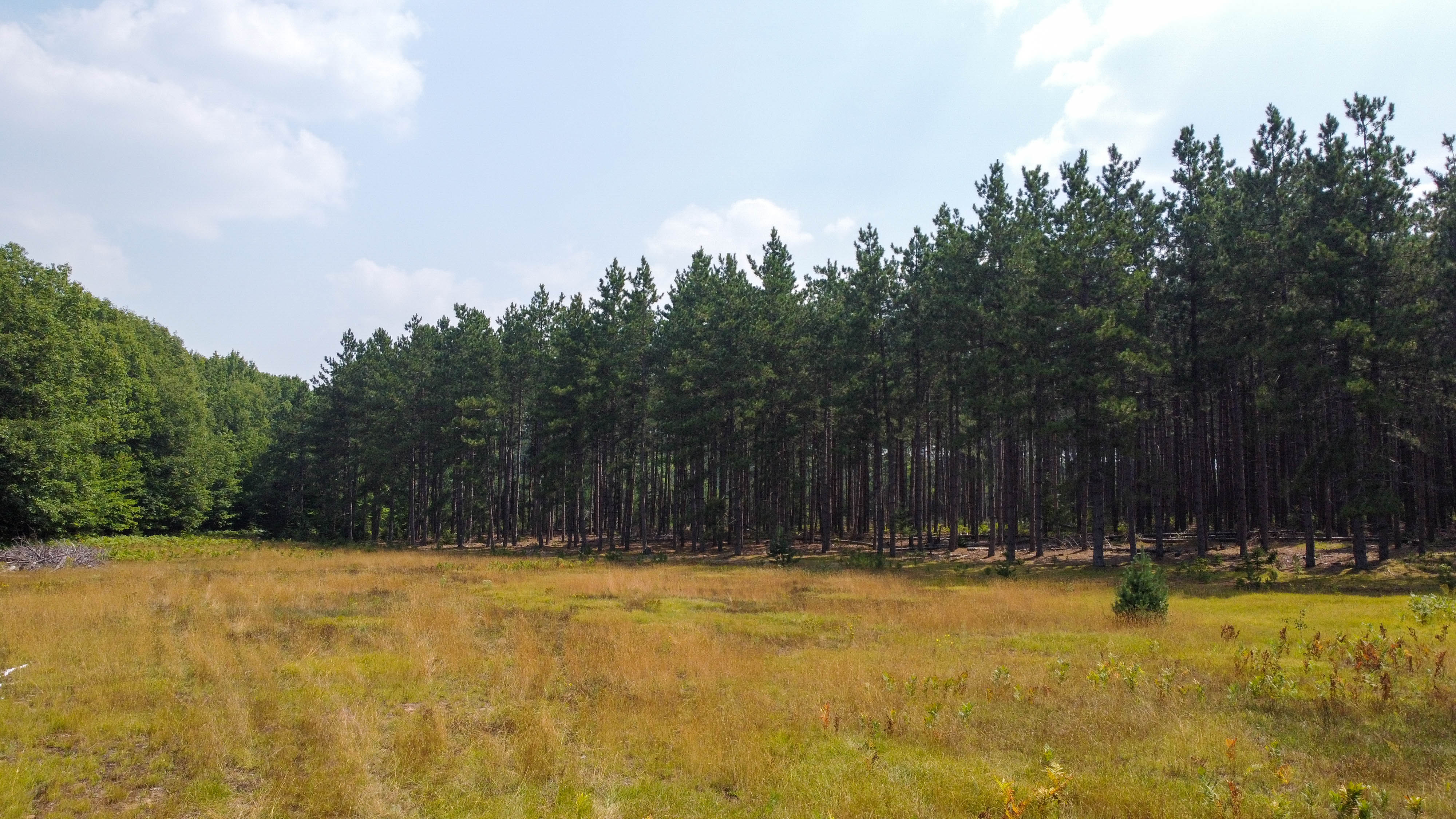 Peace, quiet and trails galore: Immersive wilderness, privacy key for ...