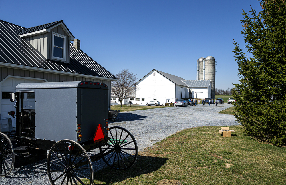 Lancaster County farm raises cattle for Karns Quality Foods - pennlive.com