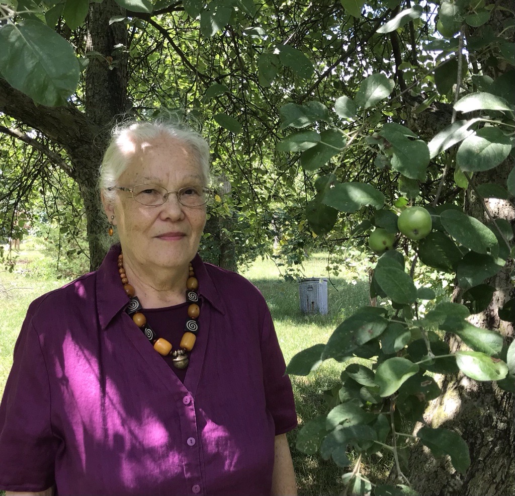 Society for History and Racial Equity is working to highlight Black ...