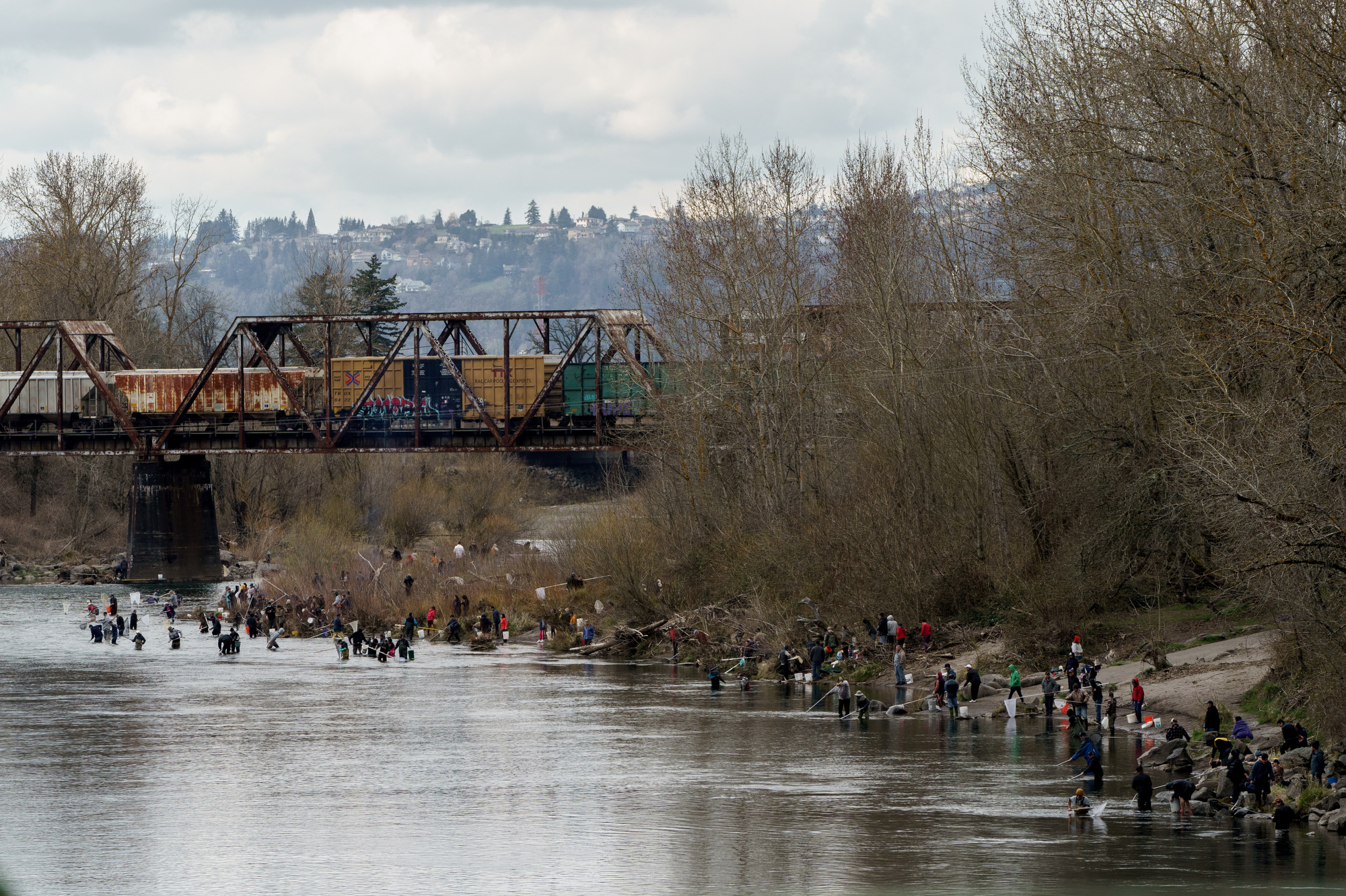 Smelt dipping returns to the lower Sandy River - oregonlive.com
