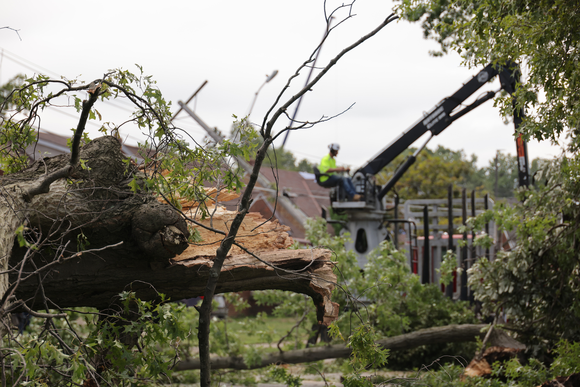 Storm damage around Northeast Ohio, August 7, 2024 - cleveland.com