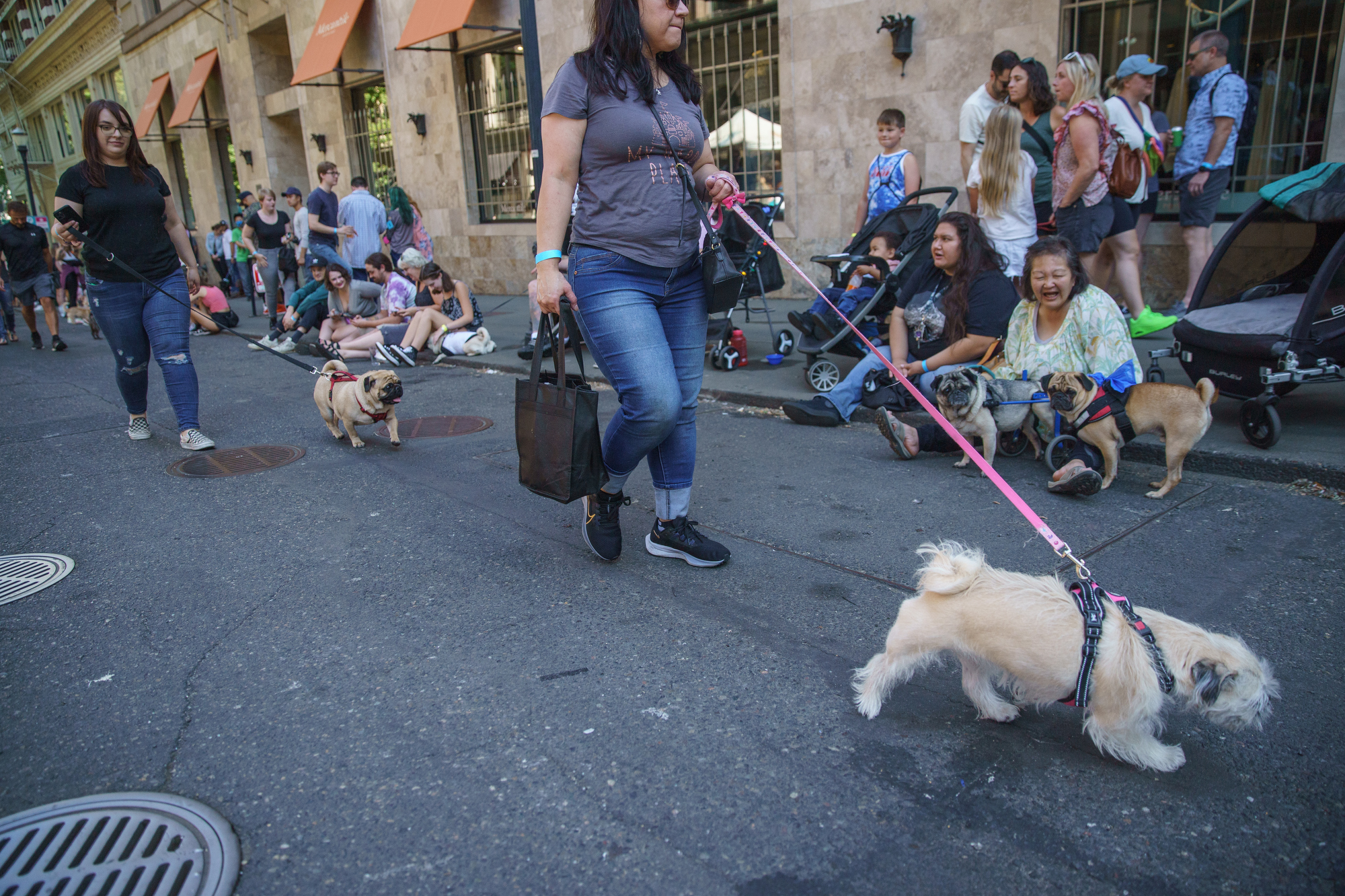 Portland Pug Crawl 2022 - oregonlive.com