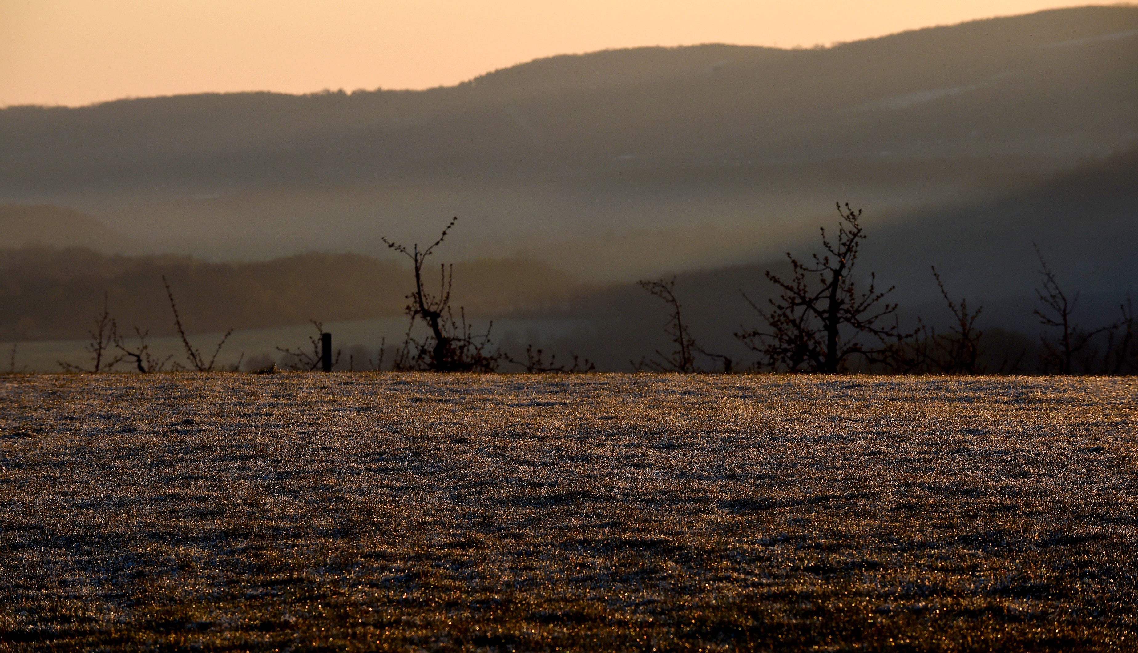 Frost takes a grip on Lafayette apple orchard Beak & Skiff - syracuse.com