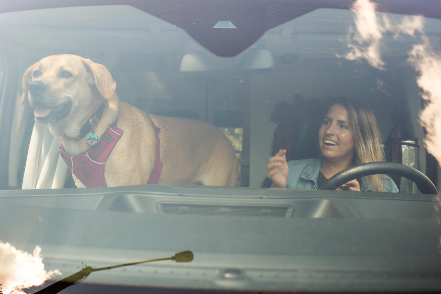 Agawam Vanlifer Cori Geiger starts her new life on the road - masslive.com