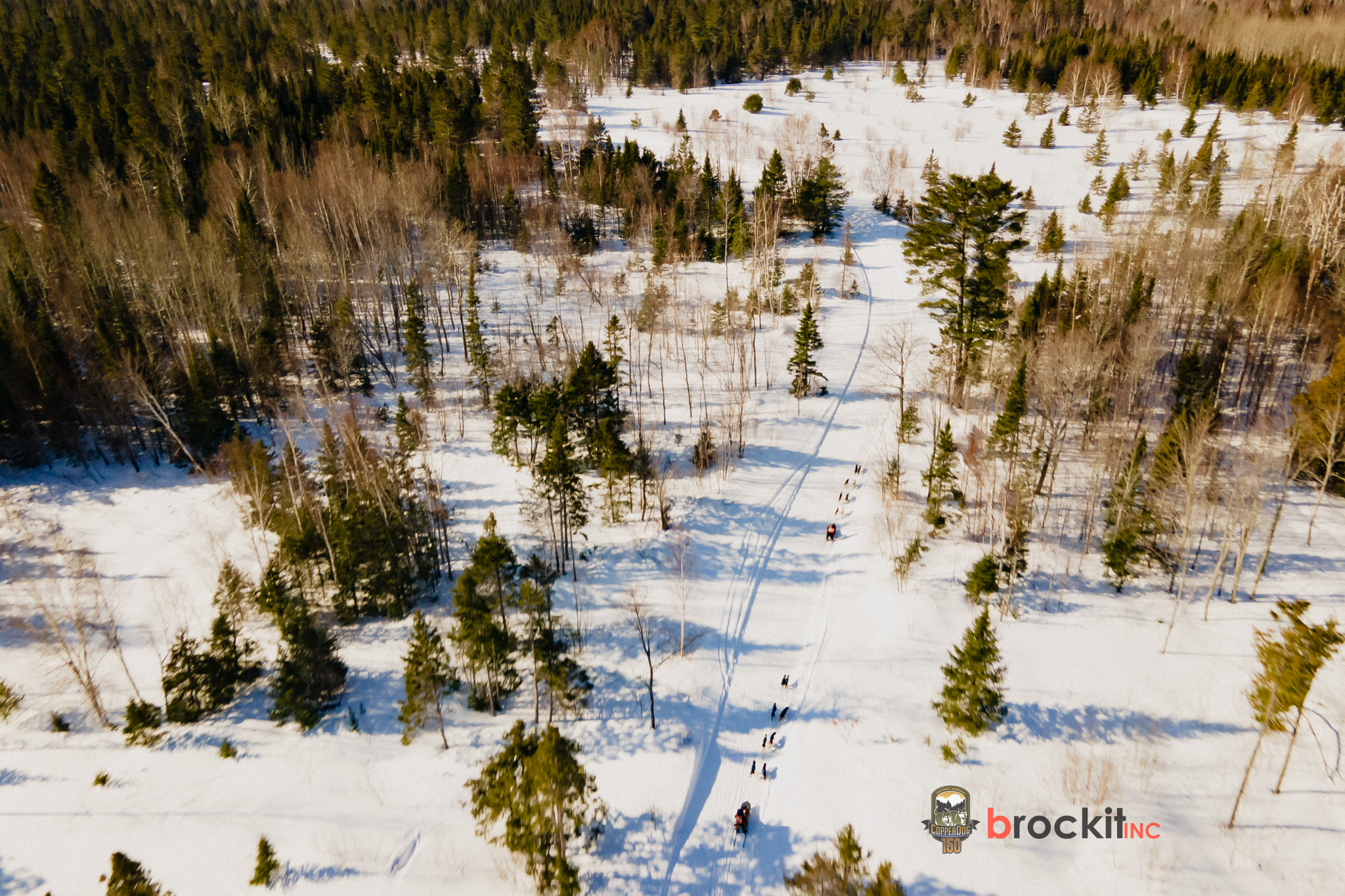2023 CopperDog 150 sled dog race in Michigan's U.P. - mlive.com