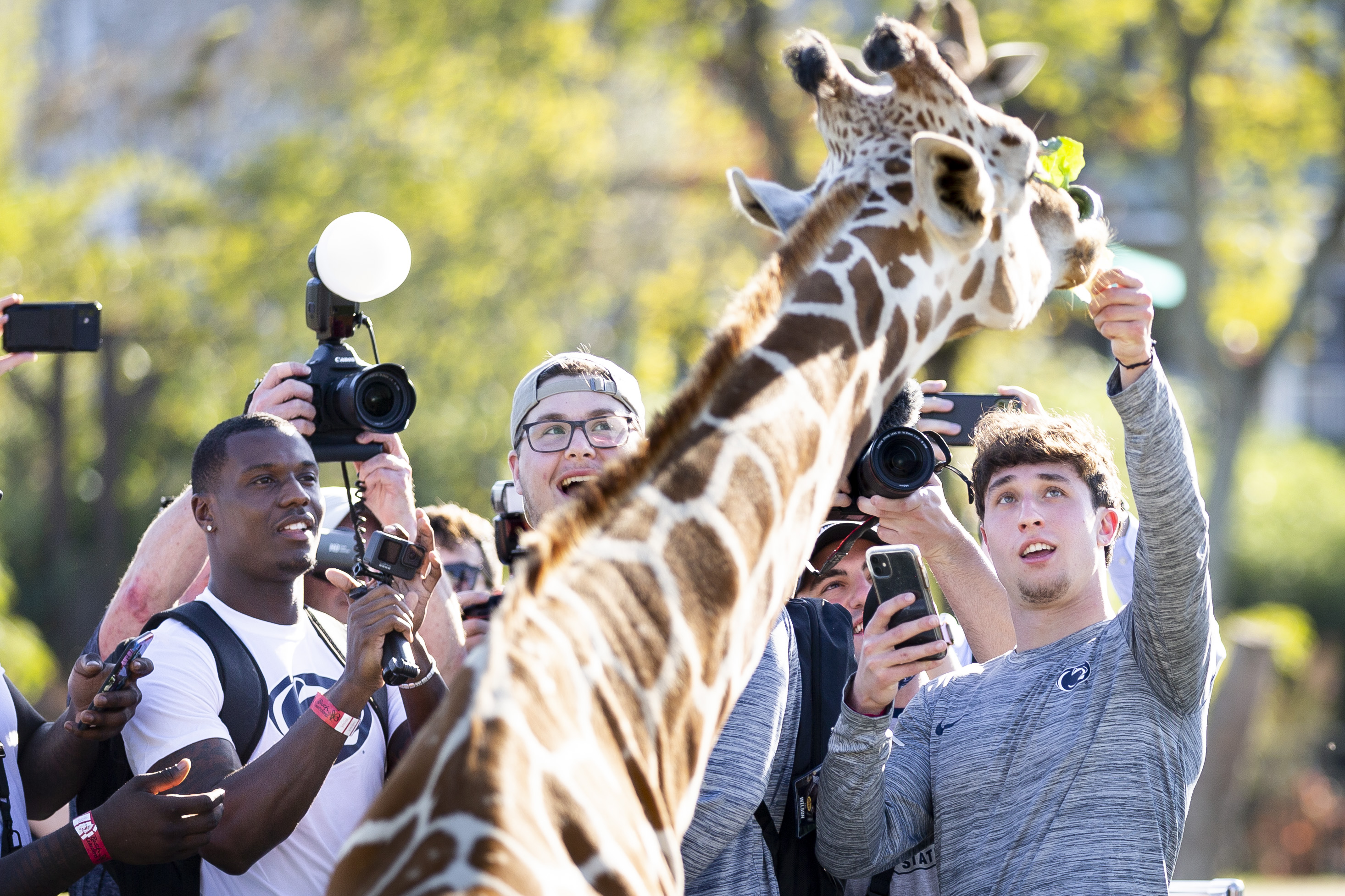 Penn State Busch Gardens visit, Dec. 29, 2021 - pennlive.com
