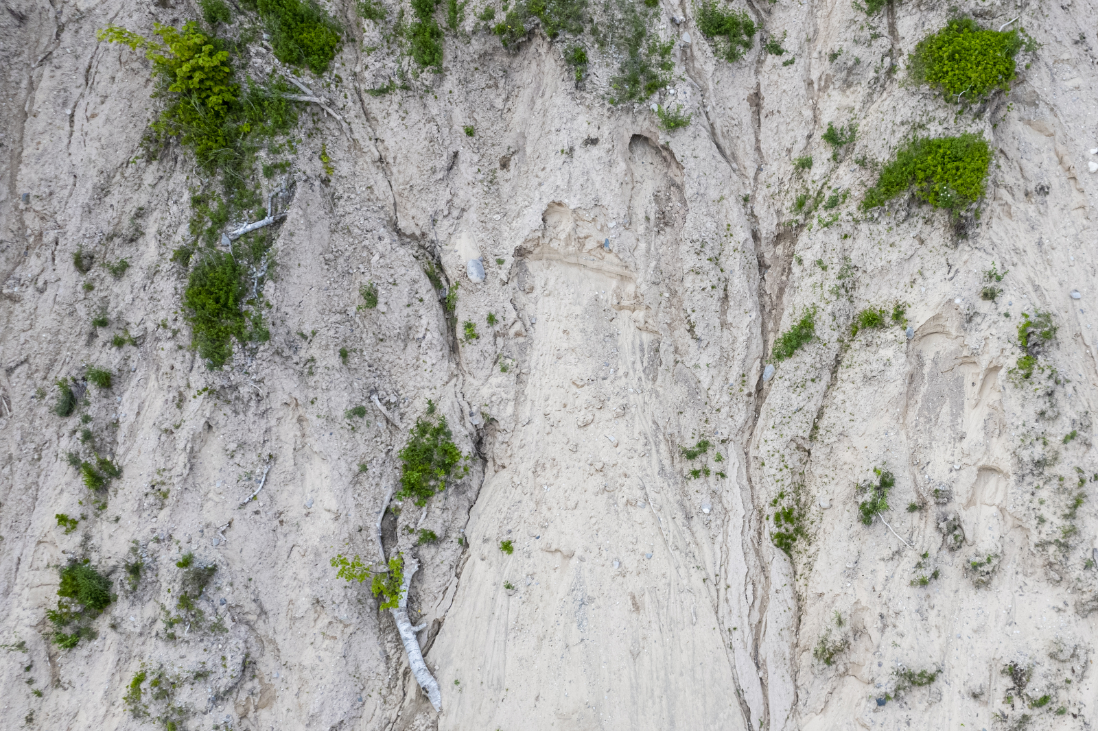 Clay Cliffs Natural Area on Leelanau peninsula - mlive.com