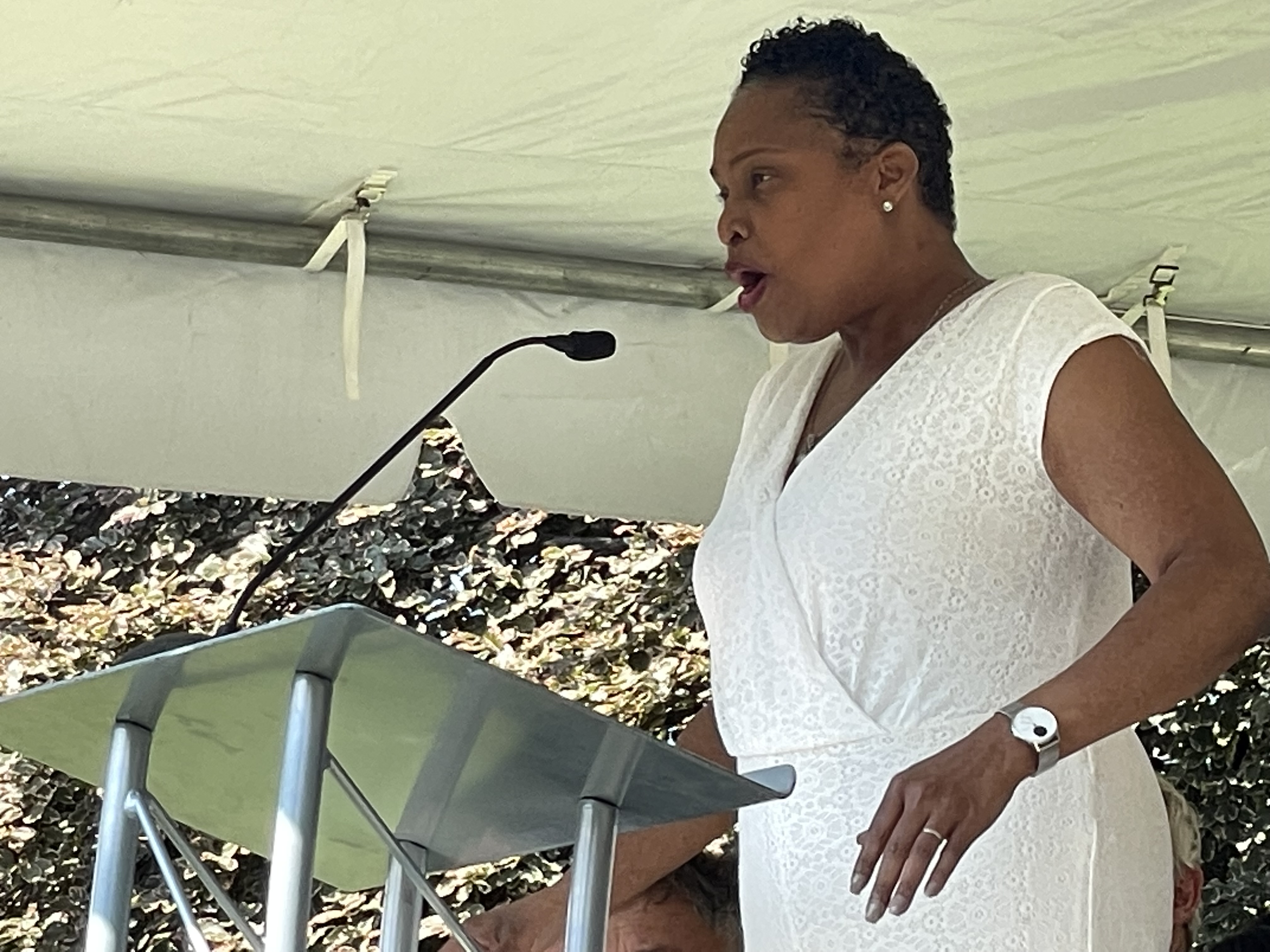 Lincoln statue unveiled - mlive.com