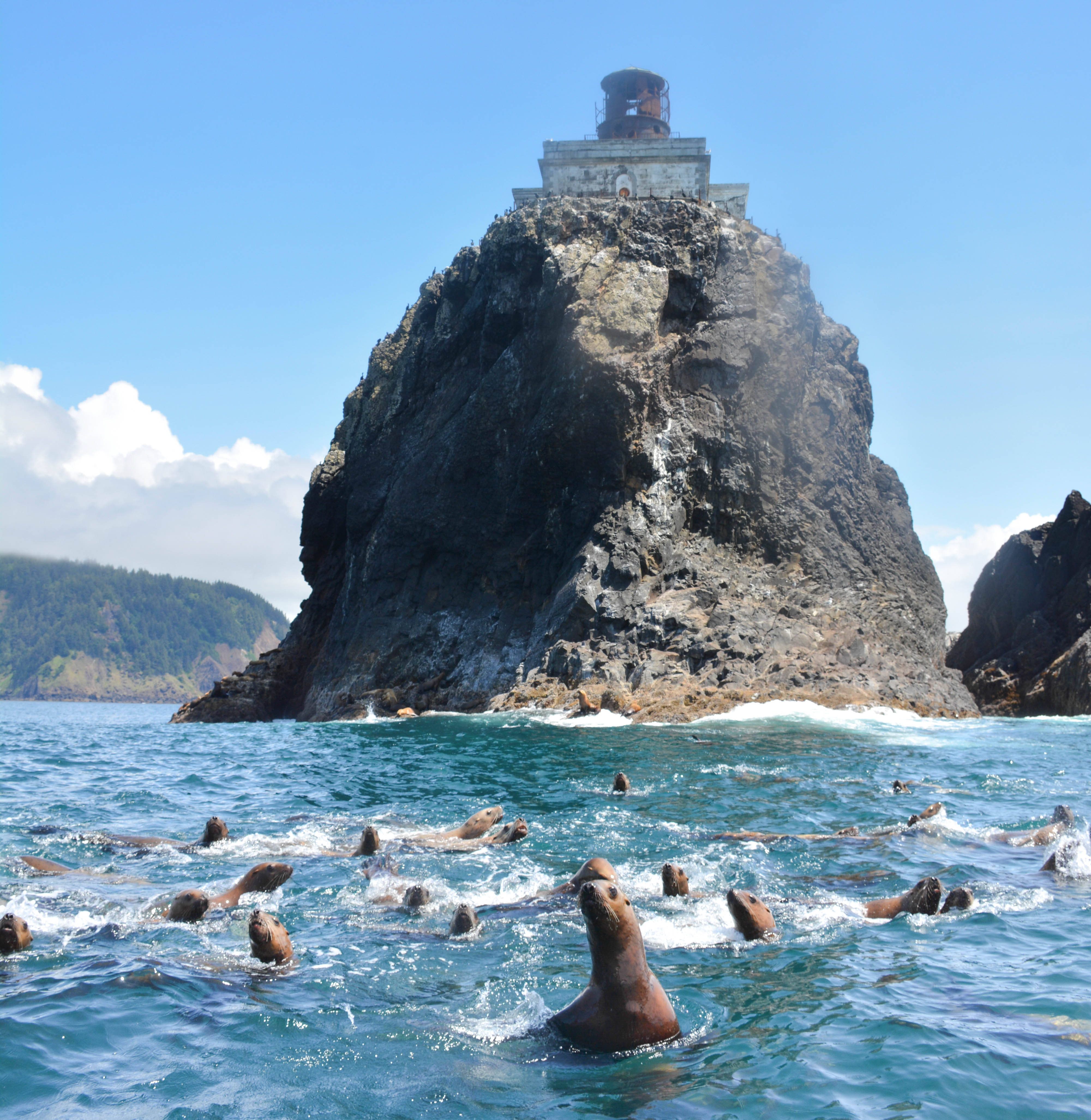 Terrible Tilly: Oregon's Tillamook Rock Lighthouse - oregonlive.com