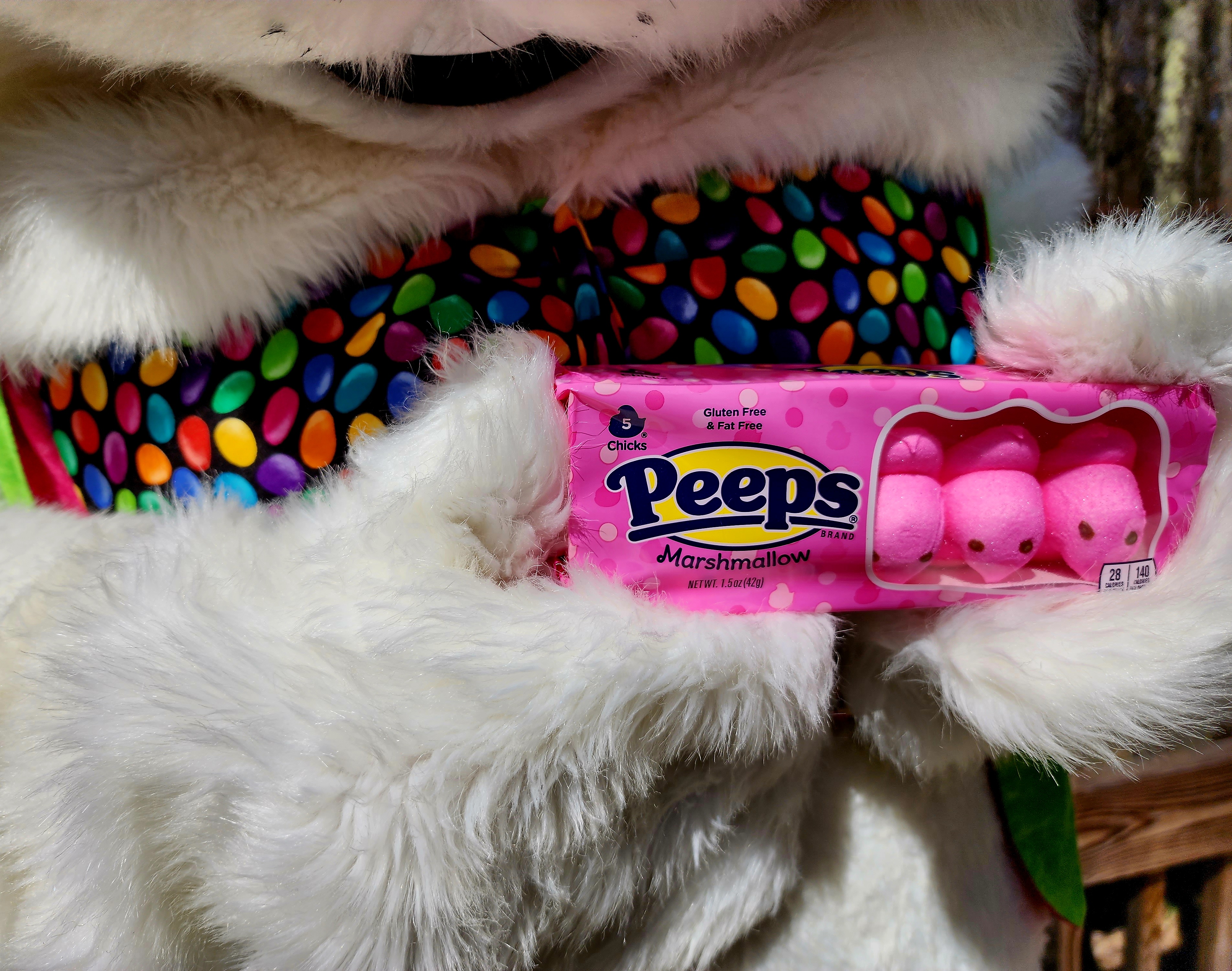Easter Trail Hop egg-citing for West Springfield children - masslive.com