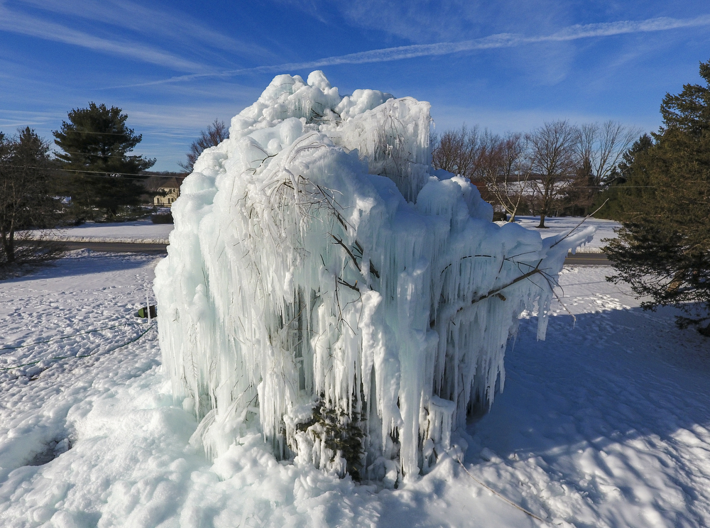 Ice Tree