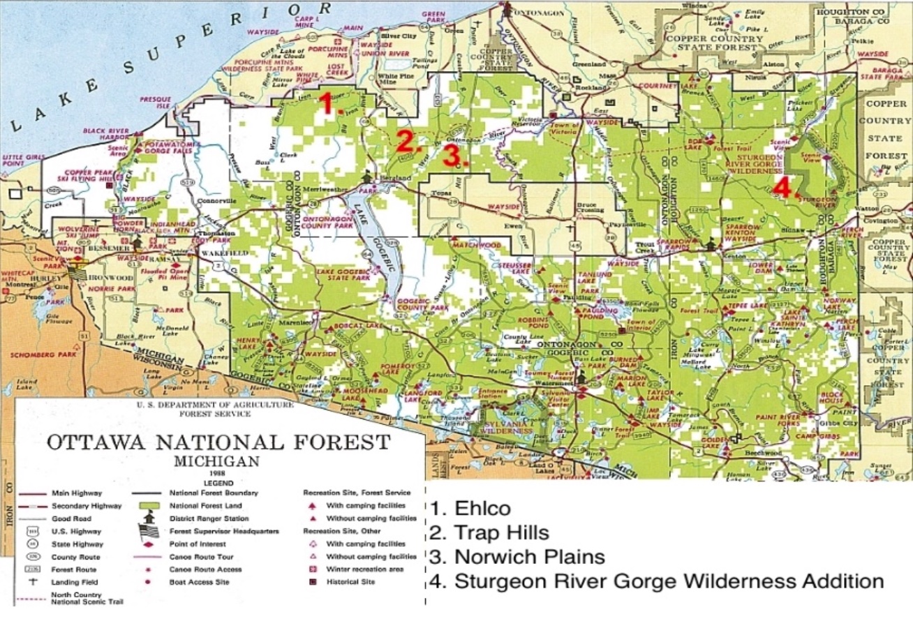 Wilderness protection sought for 50k acres of UP land - mlive.com