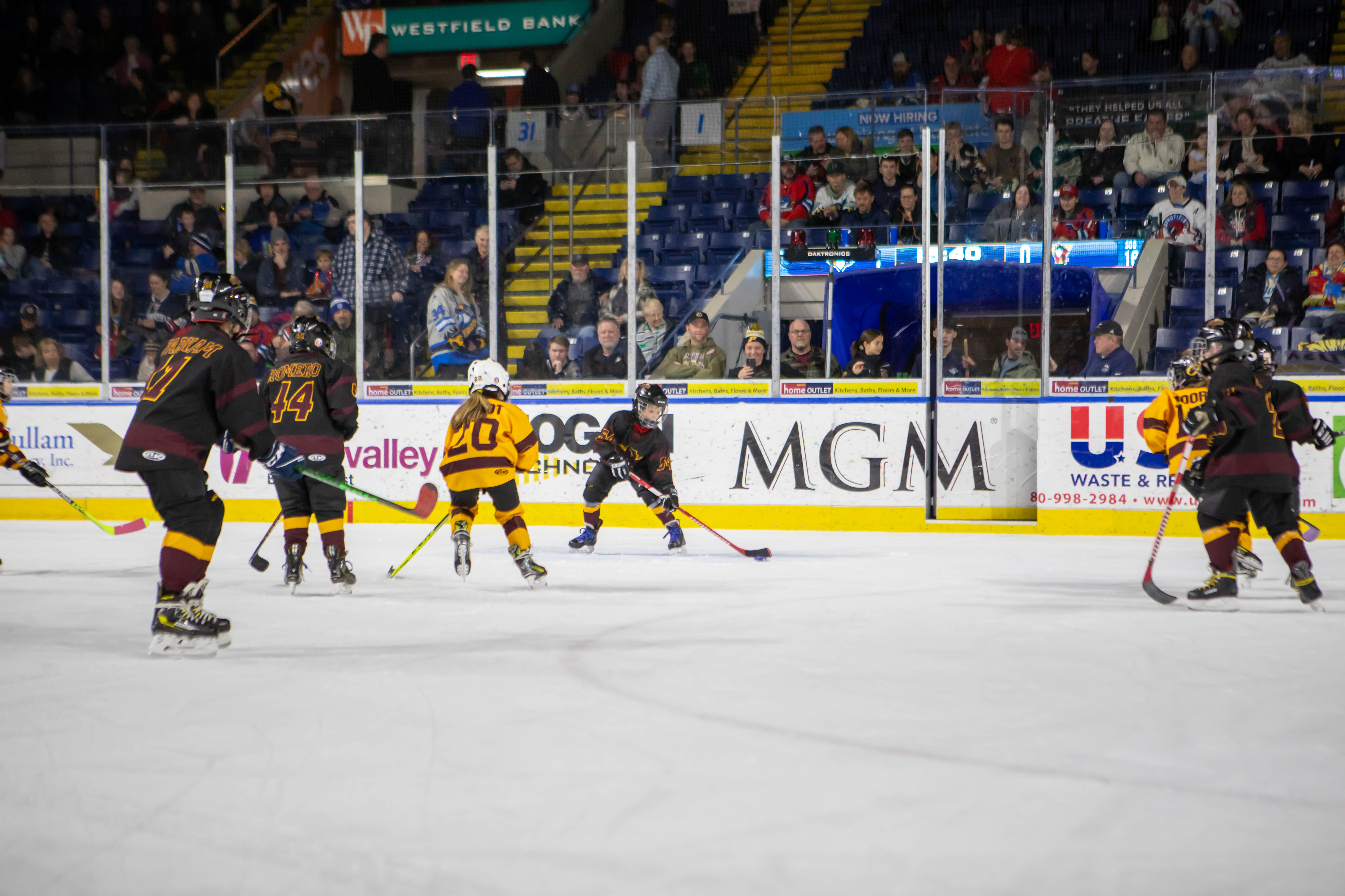 Springfield Thunderbirds VS Wilkes-Barre Scranton Penguins 1/15/24 ...