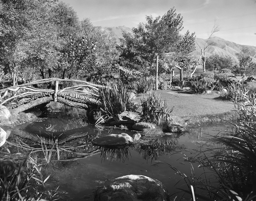 Healing Nature - oregonlive.com