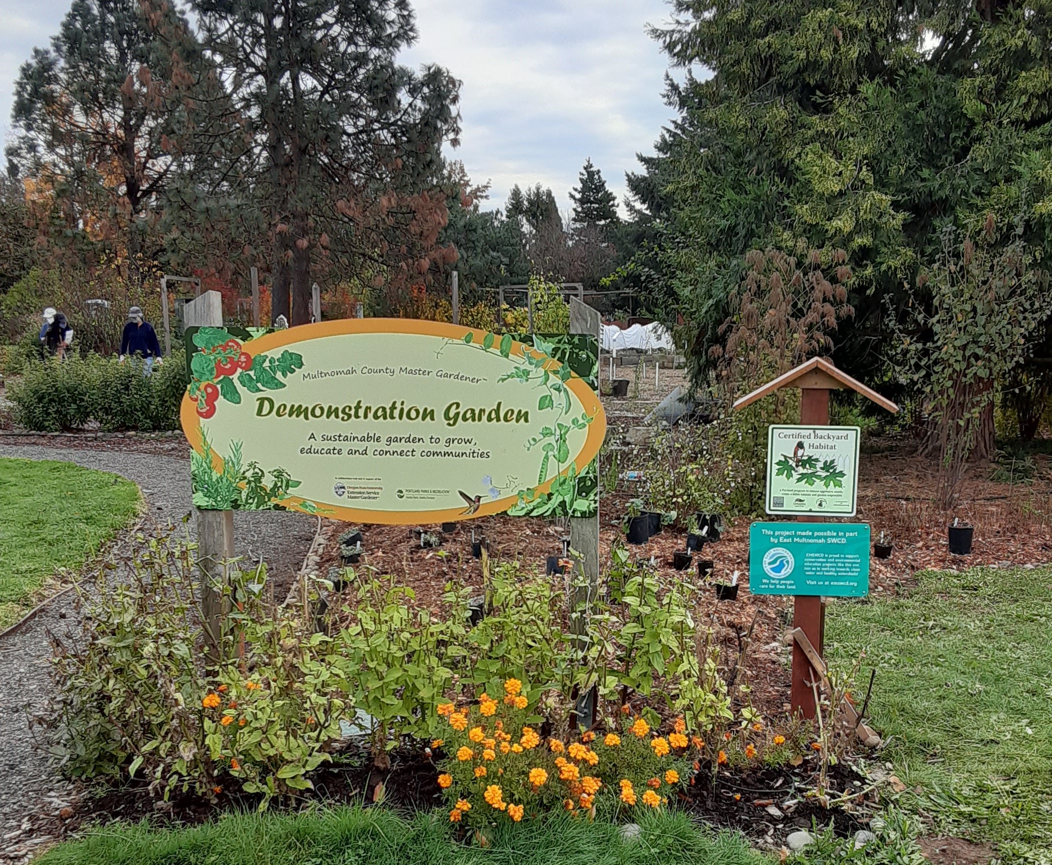 Multnomah County Master Gardener Association Demonstration Garden - oregonlive.com