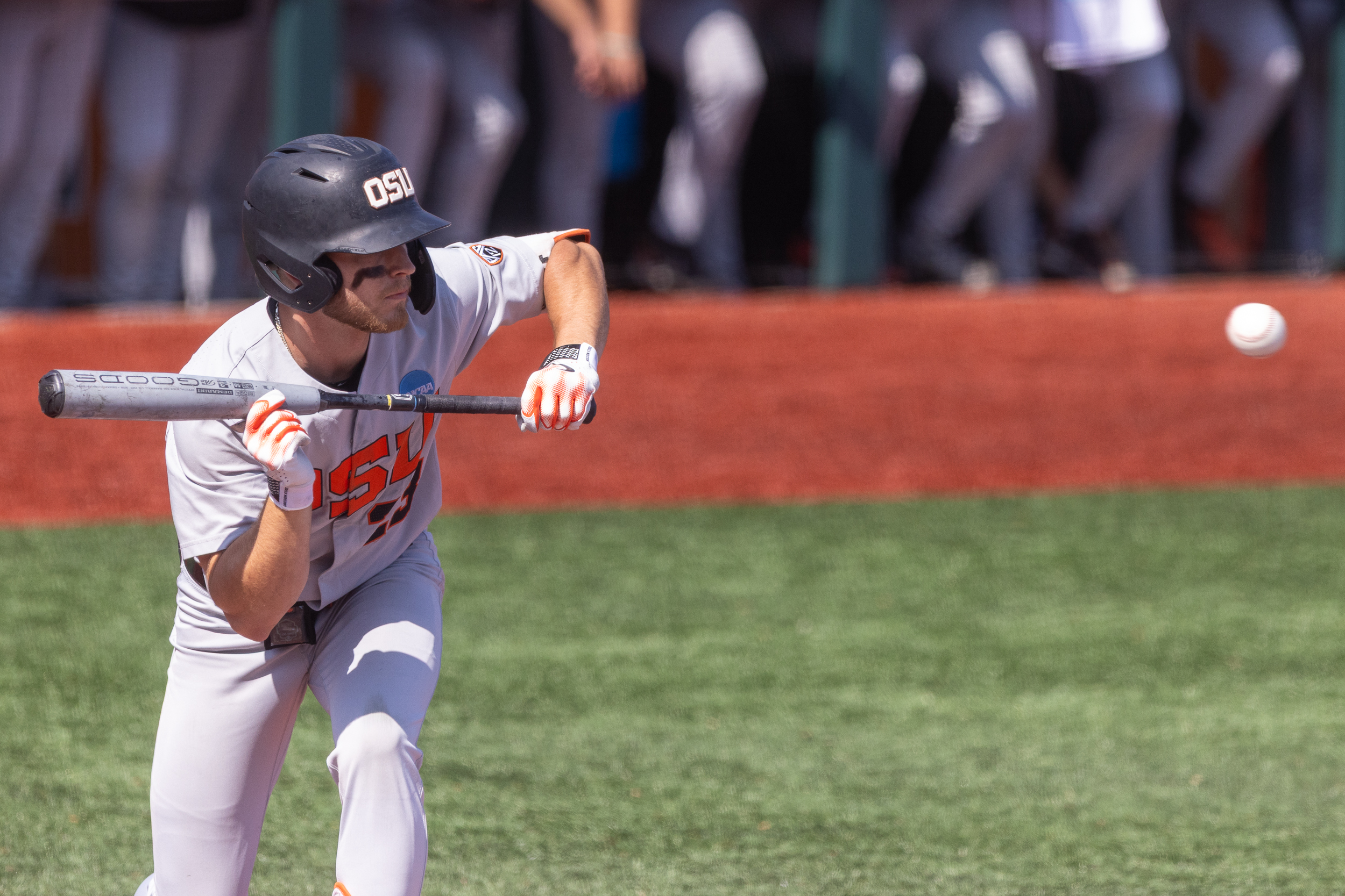 Oregon State Beavers baseball vs. St. Mary's — Corvallis Regional ...