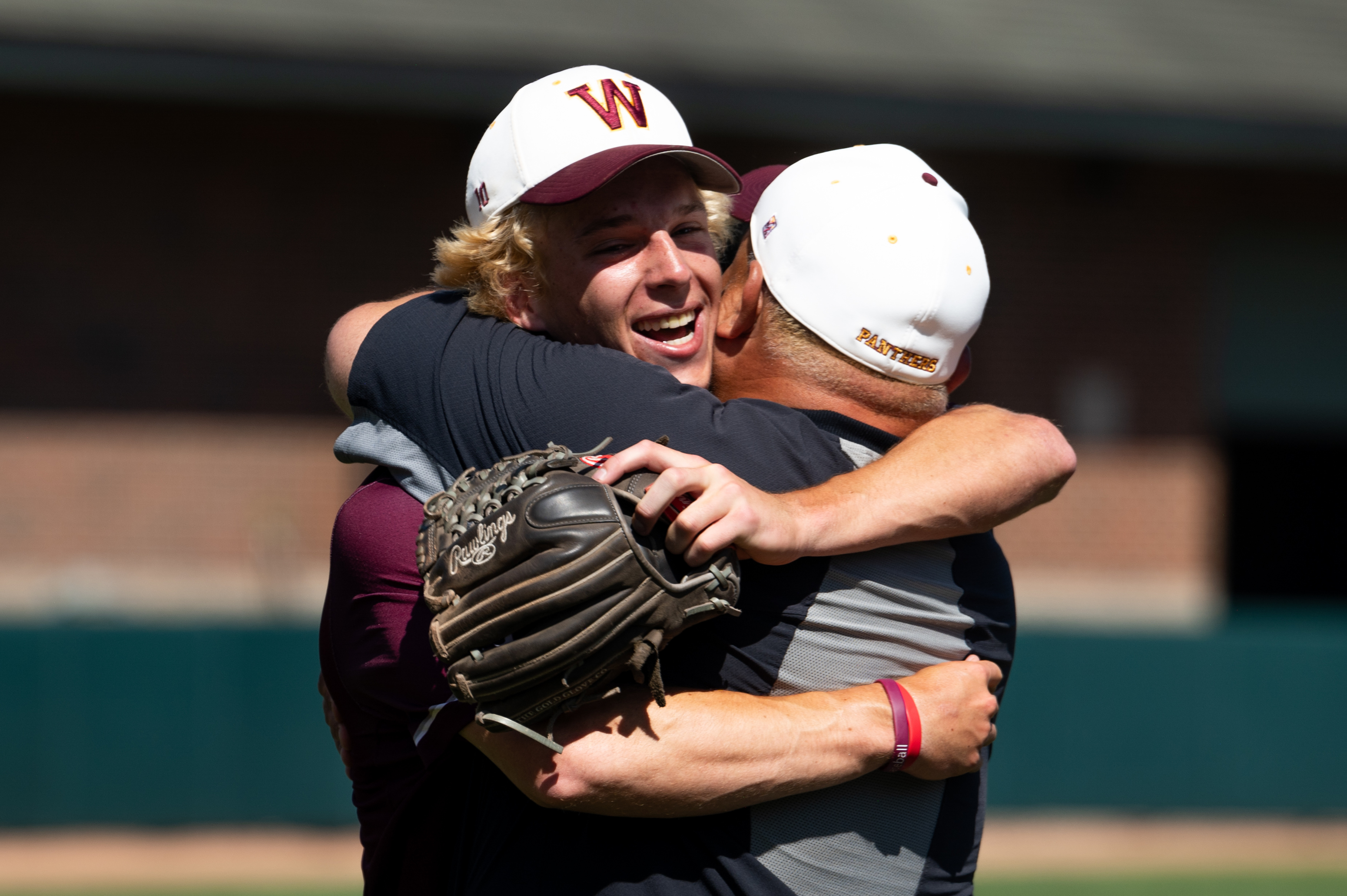 Watervliet wins MHSAA Division 3 baseball state championship - mlive.com