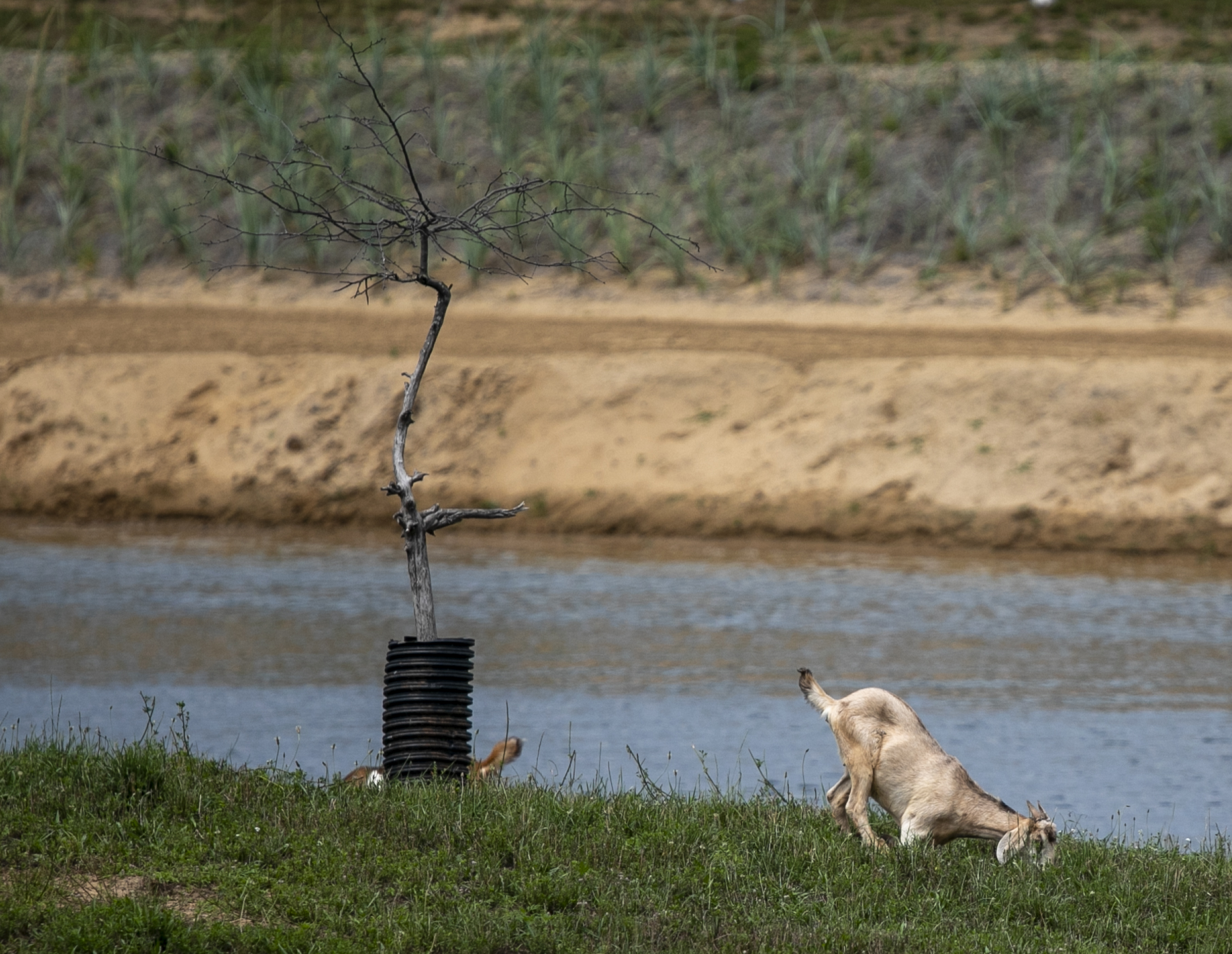 Lake Arvesta Farms Aqua Park - mlive.com