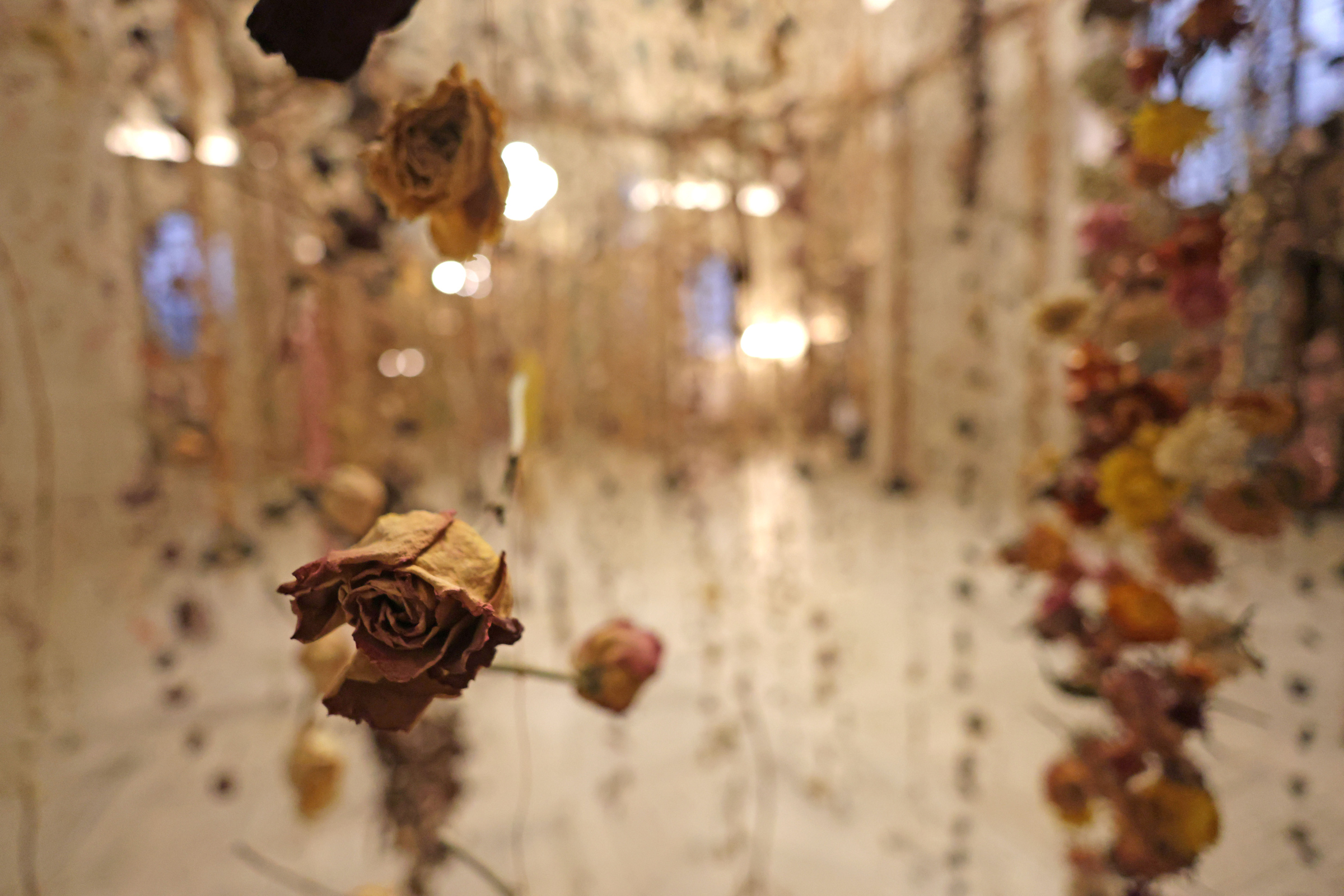 "The Archive" floral exhibit on display in Cleveland - cleveland.com