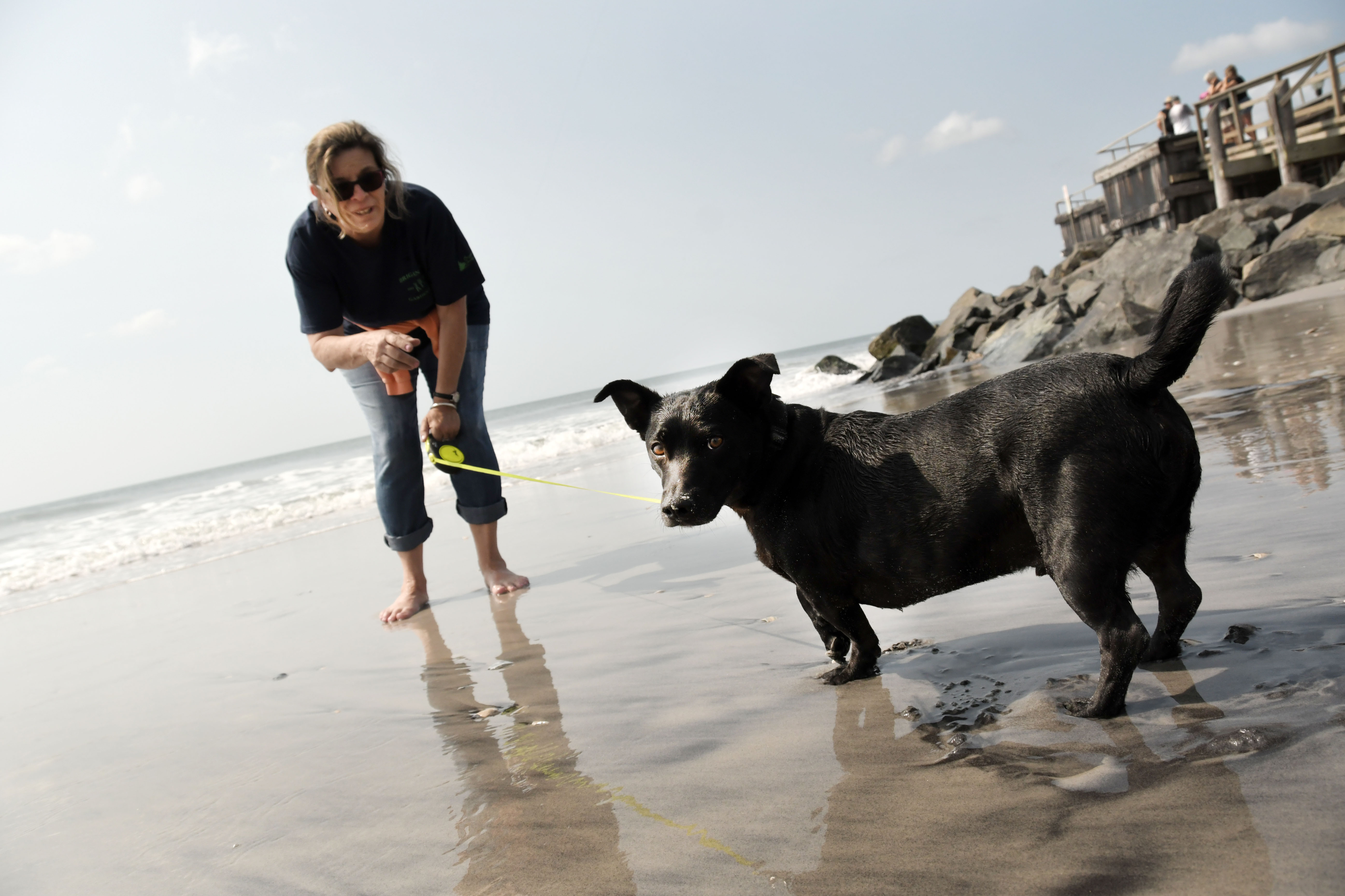 Dog-friendly Beach North beach in Brigantine - nj.com