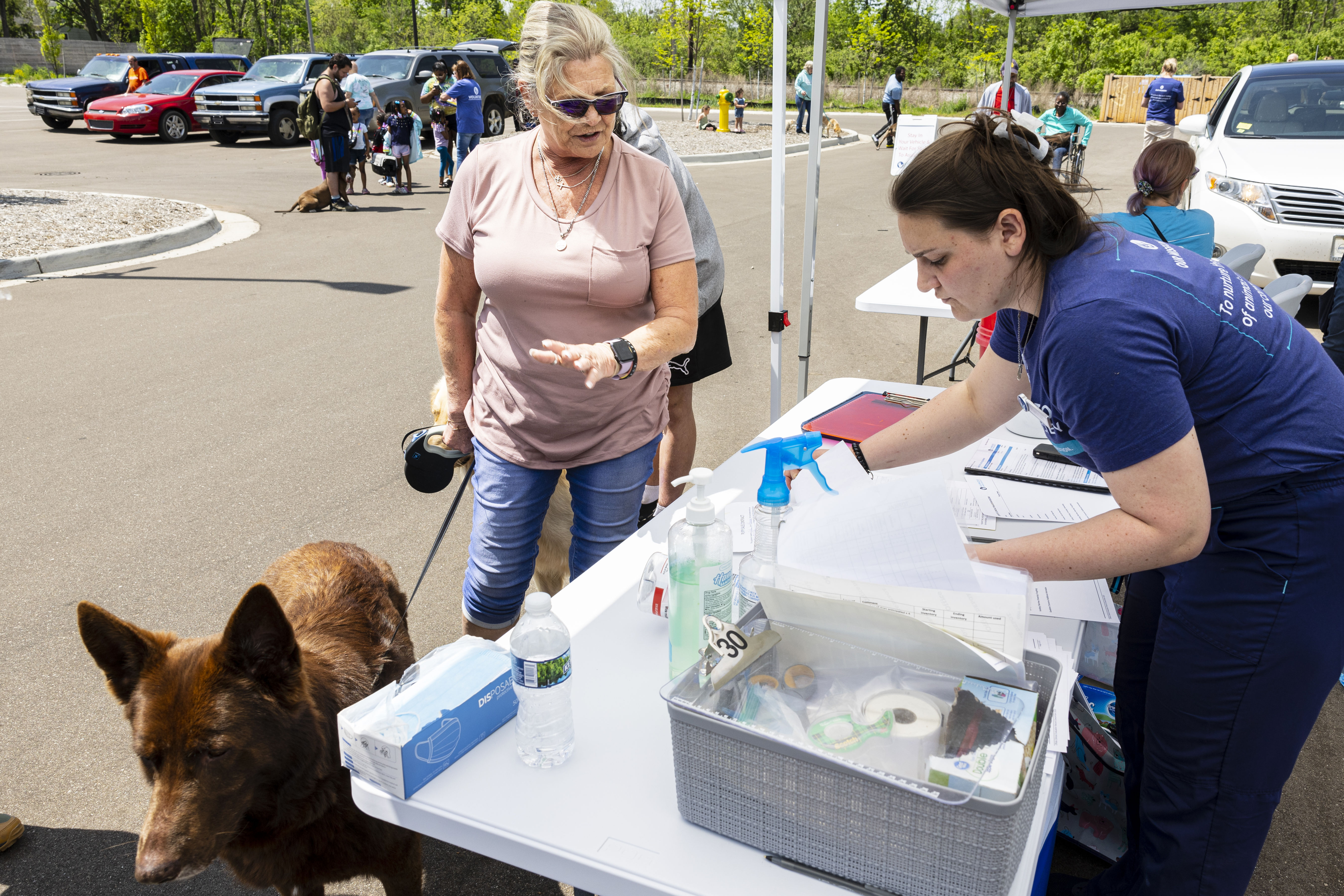 Free vaccine clinic for dogs and cats in Kalamazoo - mlive.com