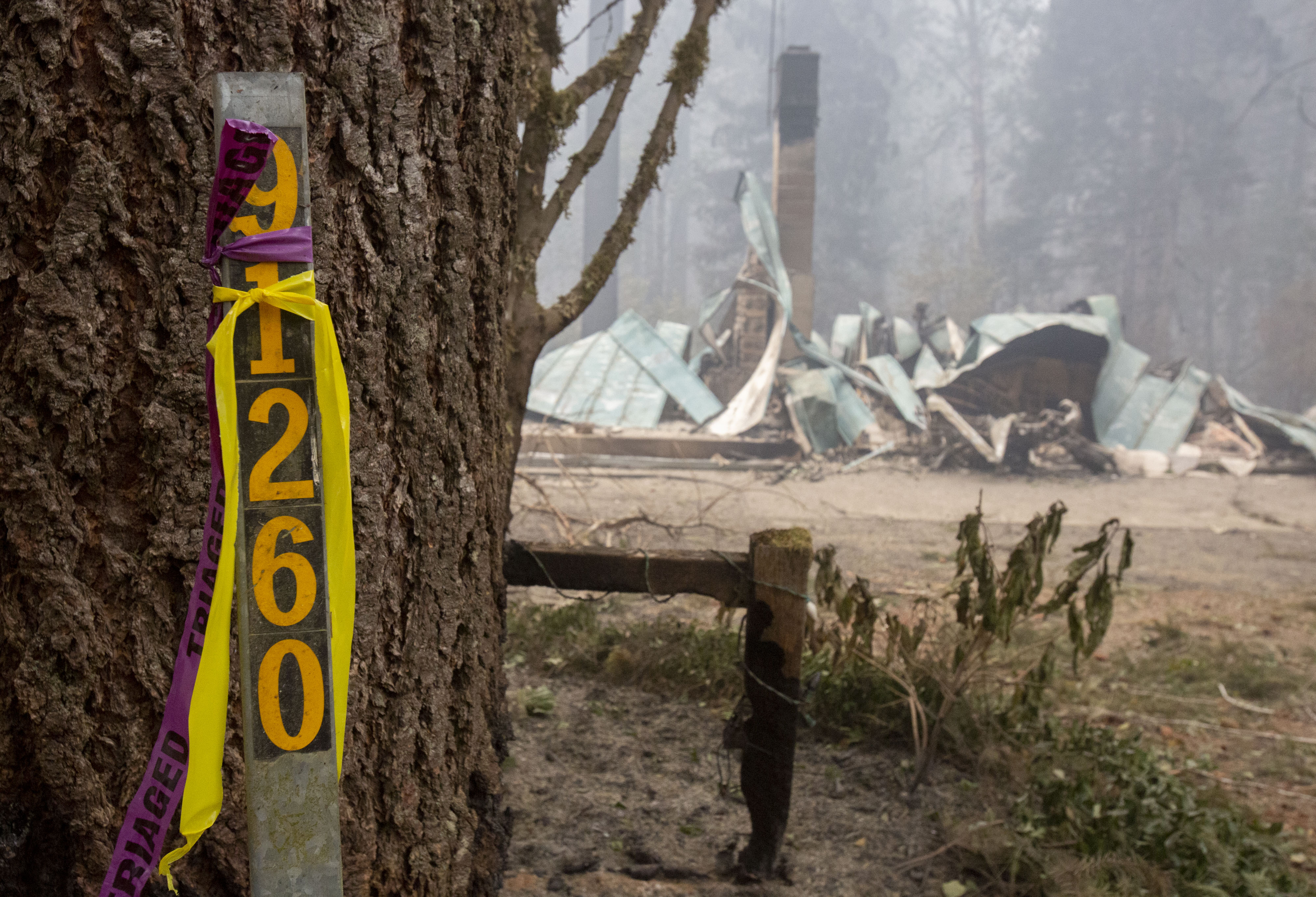 Holiday Farm wildfire damage - oregonlive.com