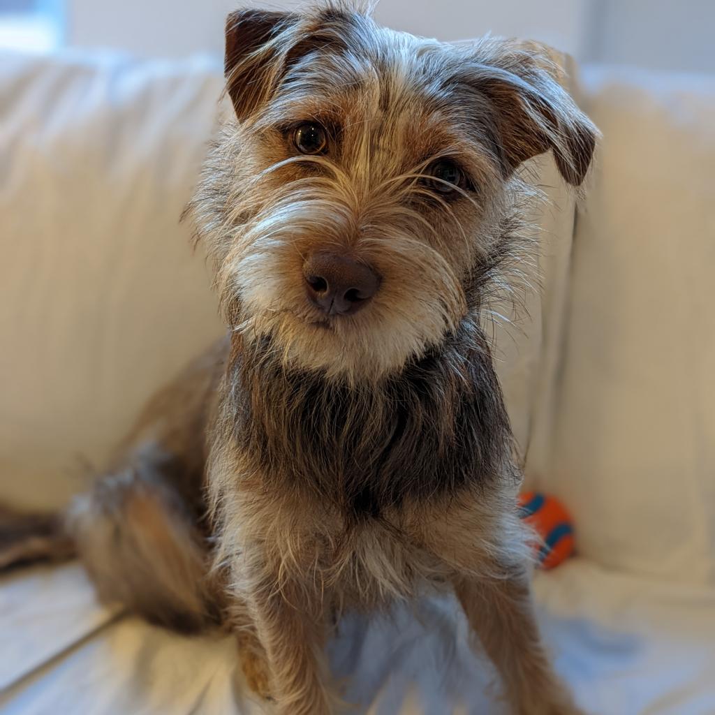 Happy everything to everyone. Whatever holiday you celebrate, enjoy it ...