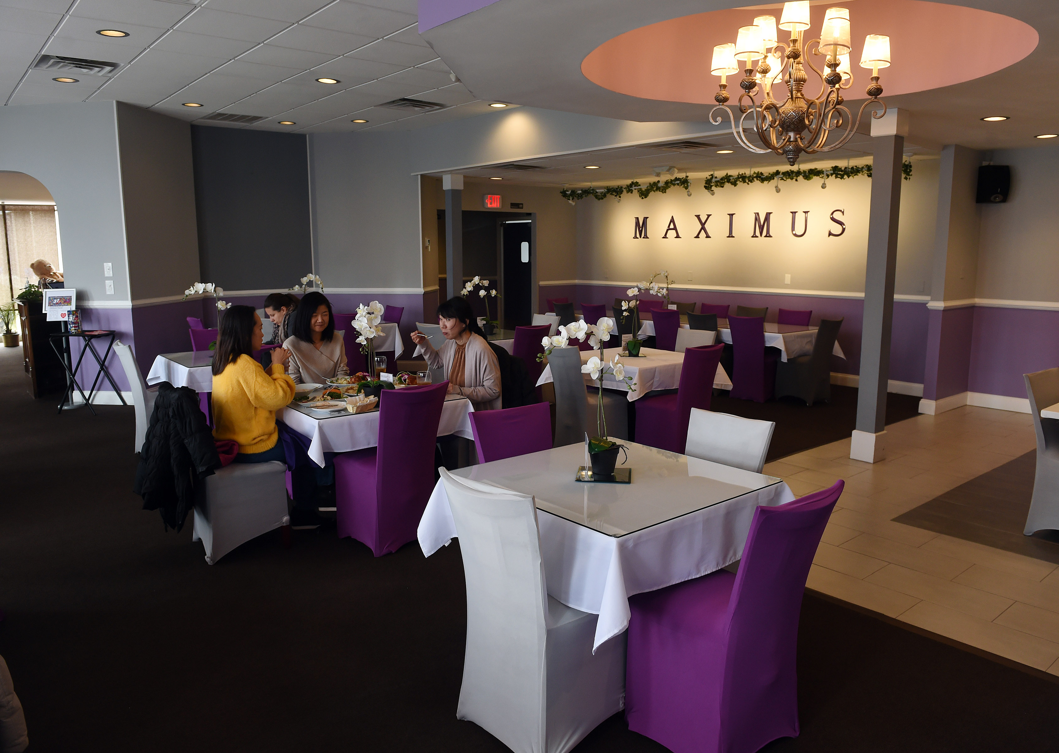 Bill of Fare Maximus Polish Cuisine - nj.com