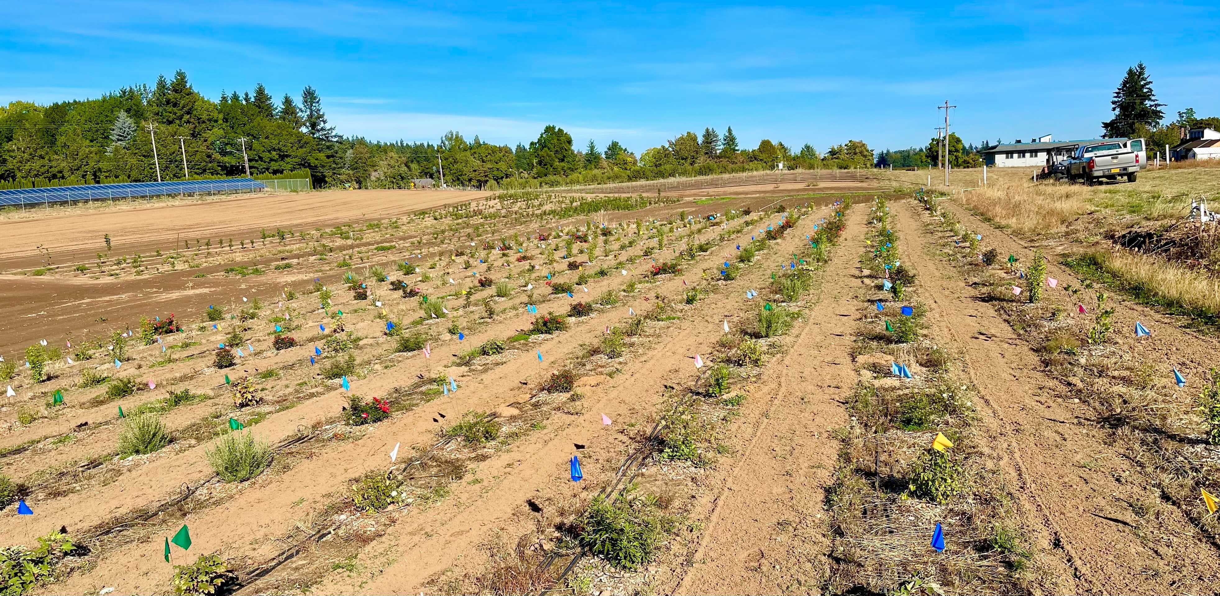 Hortlandia 2023 - oregonlive.com