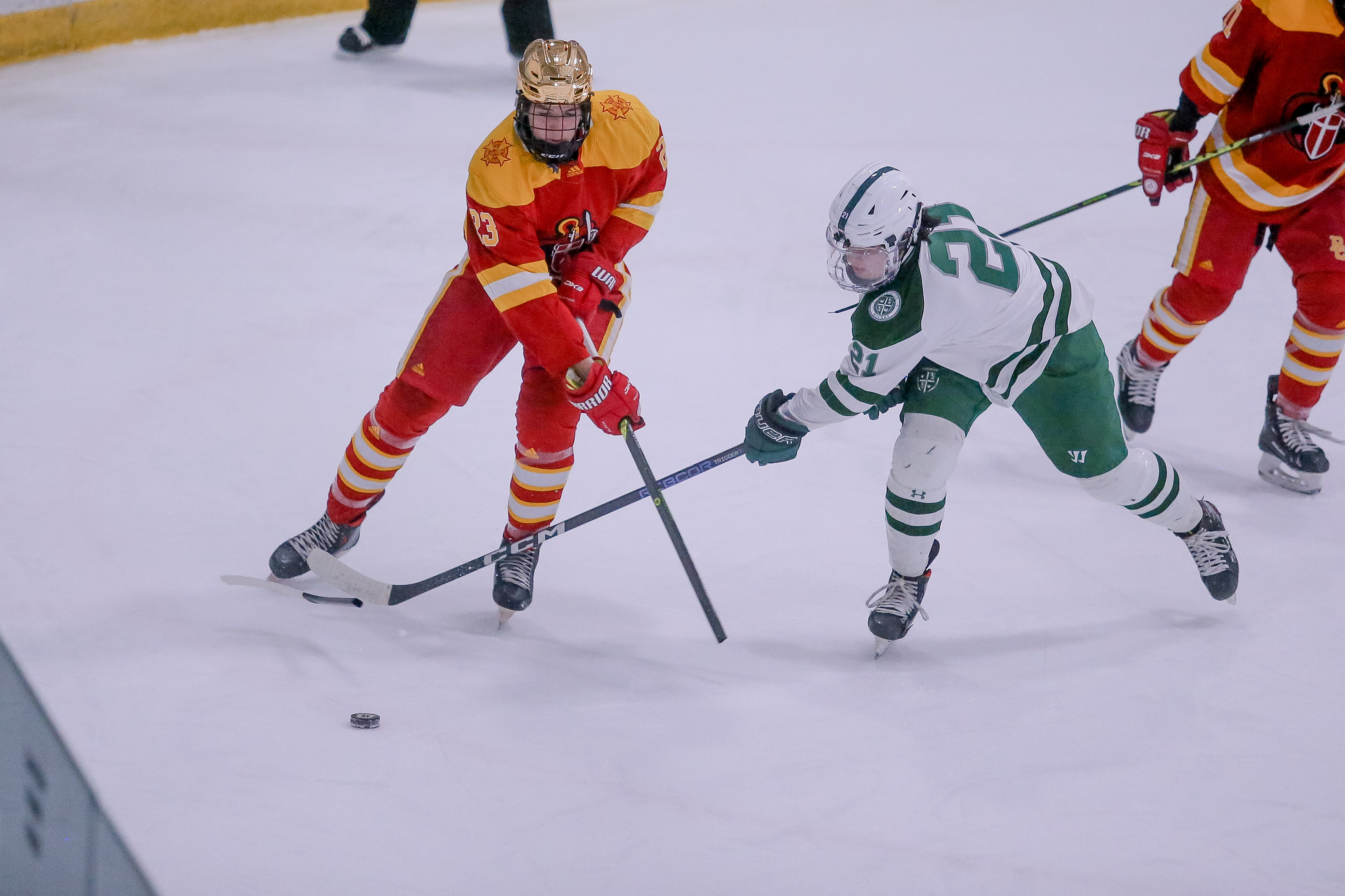 Boys Ice Hockey: Delbarton vs Bergen Catholic - nj.com