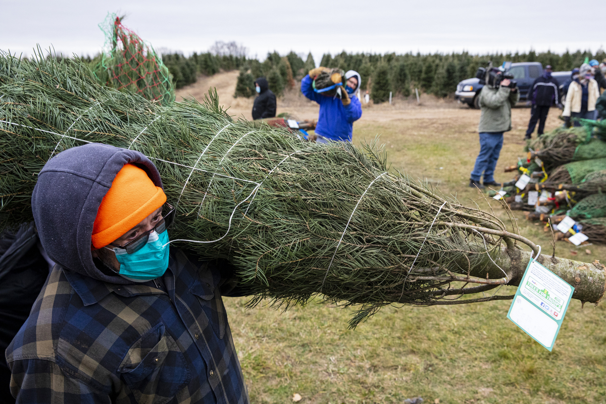 Volunteers gather to load Christmas trees for 'Trees for Troops ...