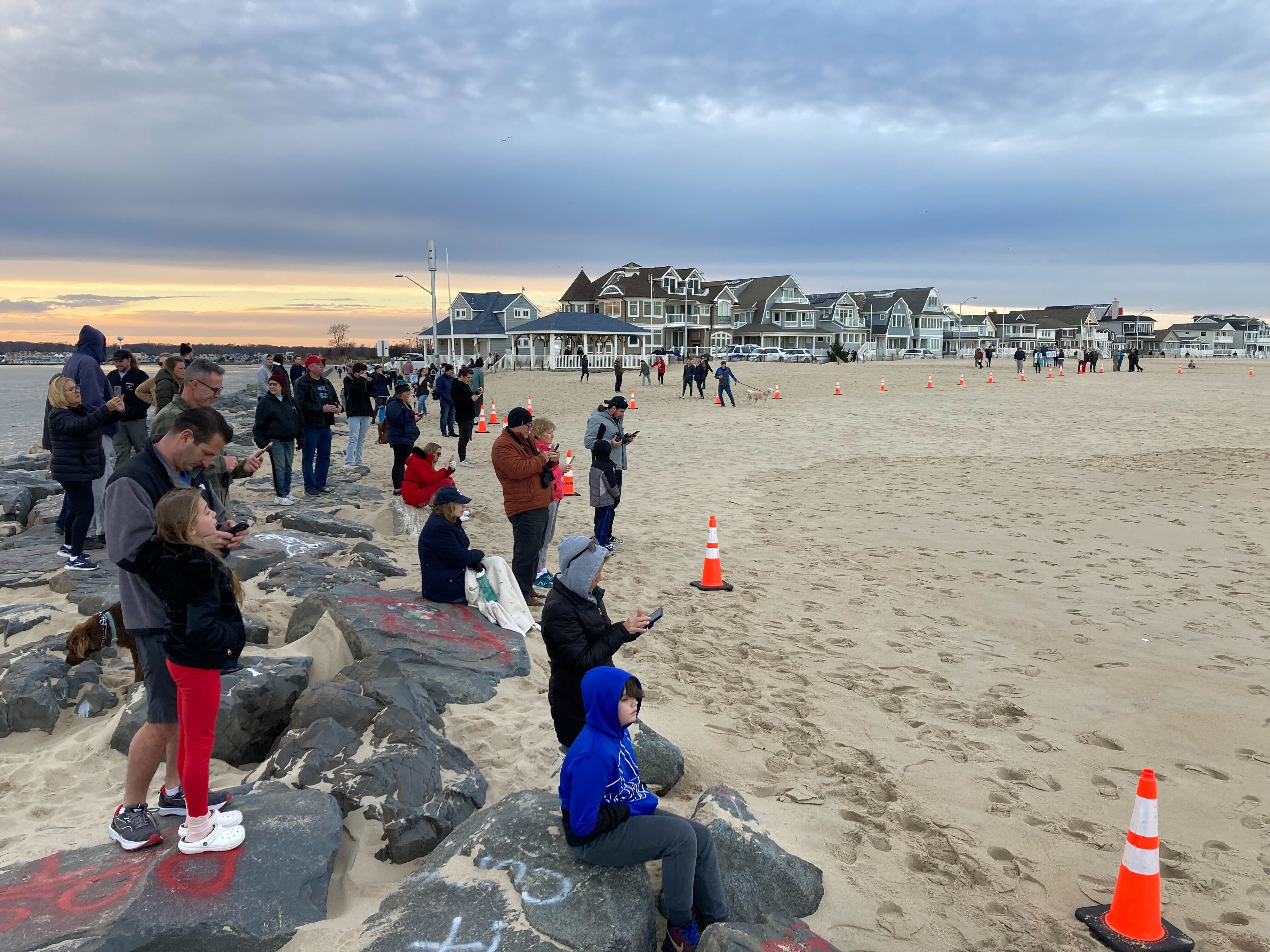 Dead whale washes up in Manasquan, Feb. 13, 2023 - nj.com