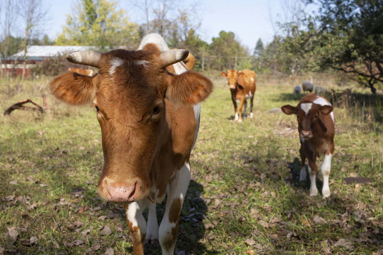 First CSA in Michigan adapts for the future - mlive.com